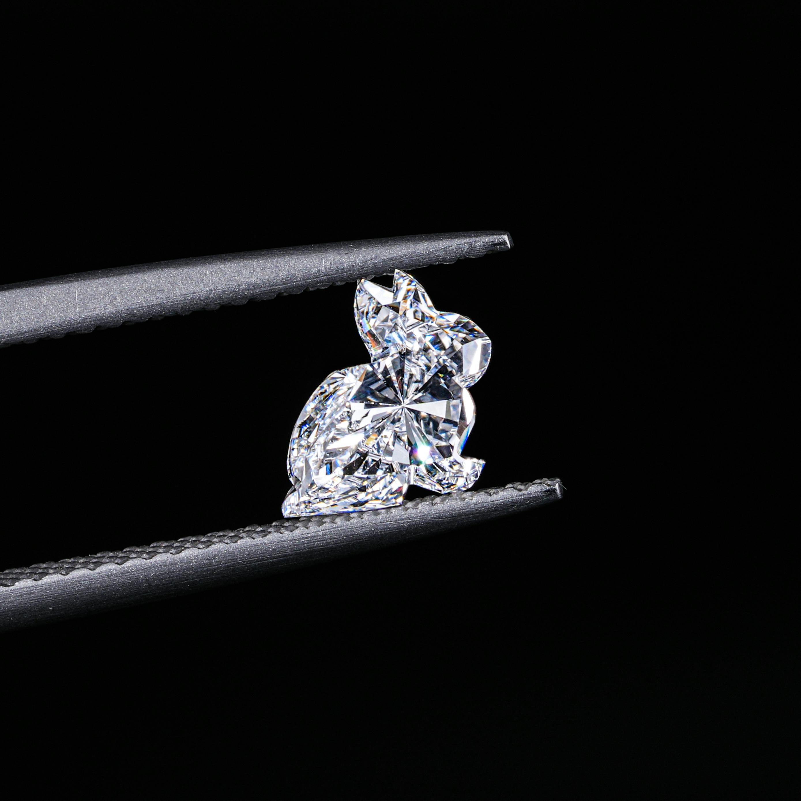 Teddy Bear Shaped Diamond Close-Up in Surat · Free Stock Photo