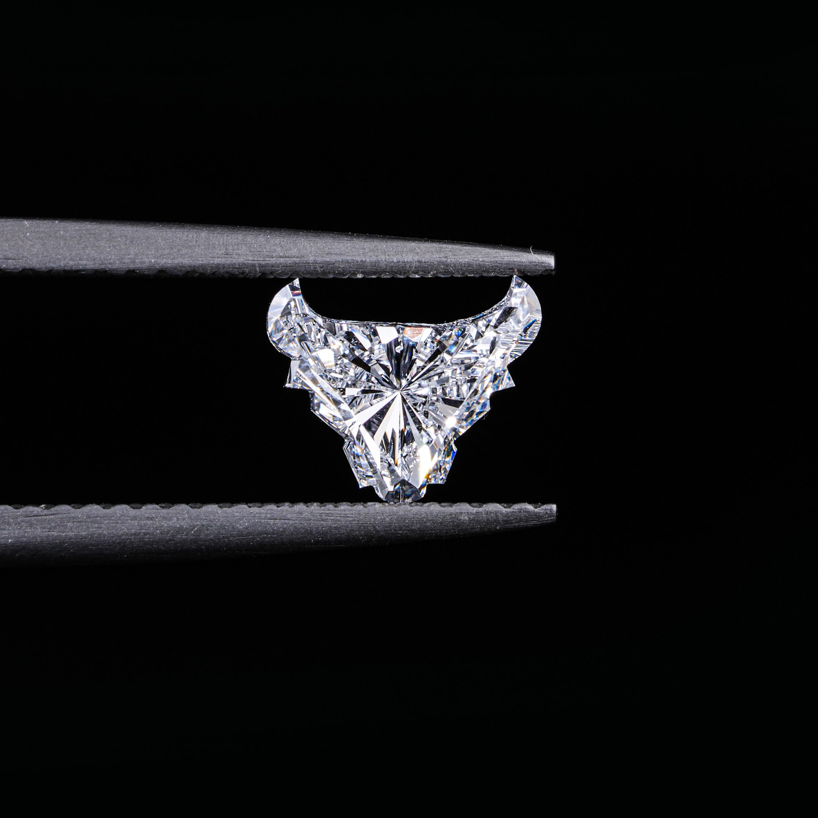 Exquisite Bull Cut Diamond in Precision Photography · Free Stock Photo