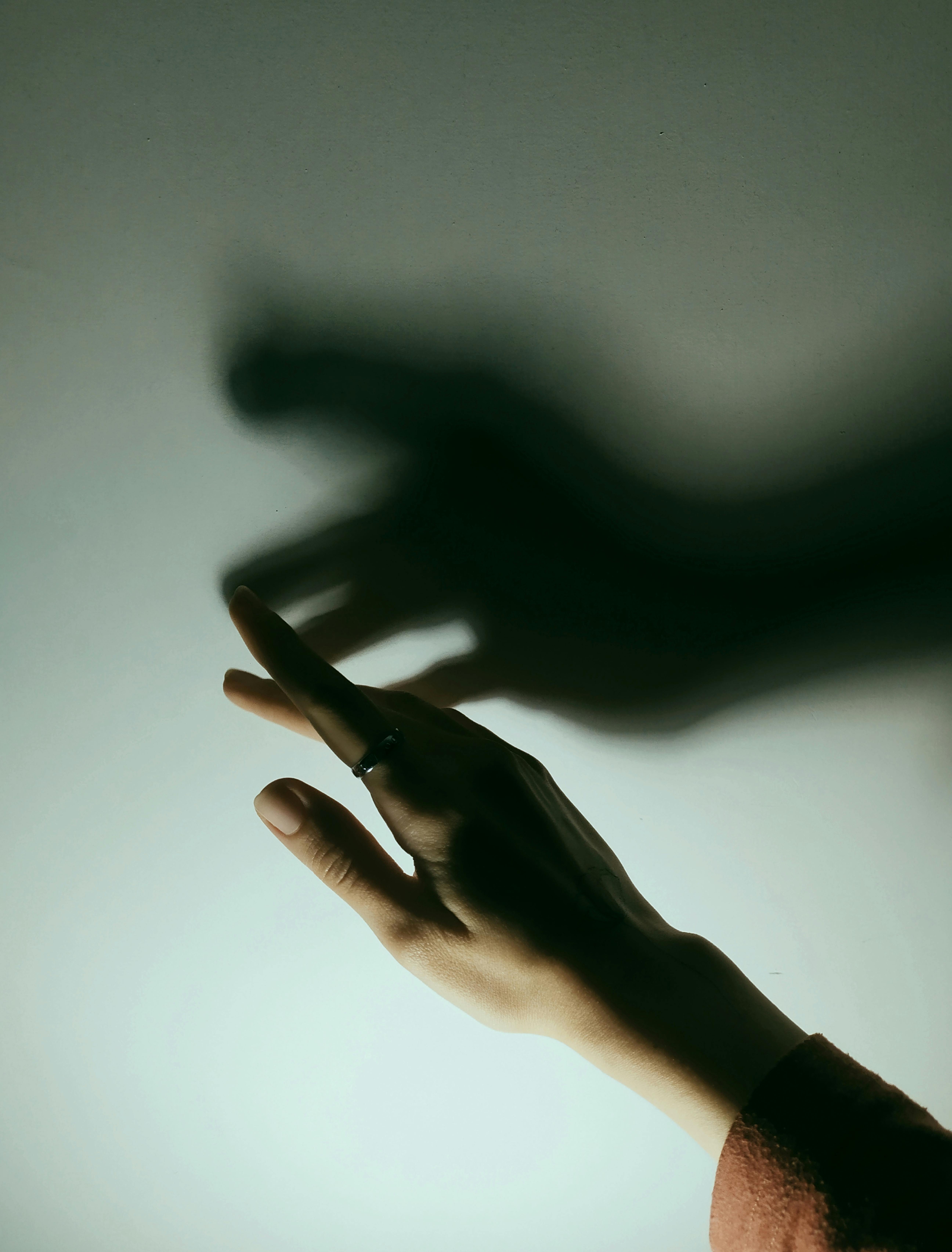 Creative Hand Shadow Art on Wall · Free Stock Photo