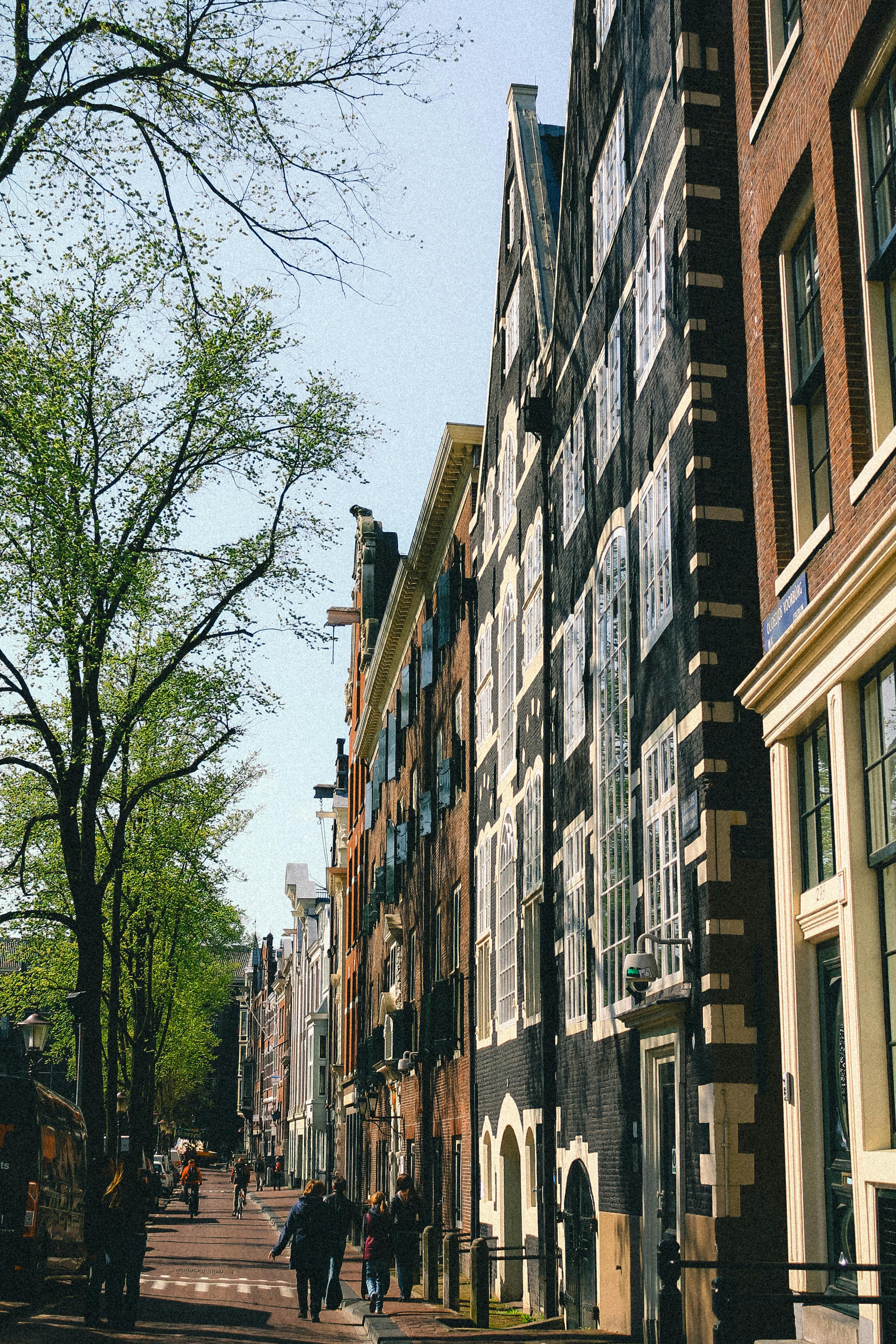 Charming Amsterdam Street in Springtime · Free Stock Photo