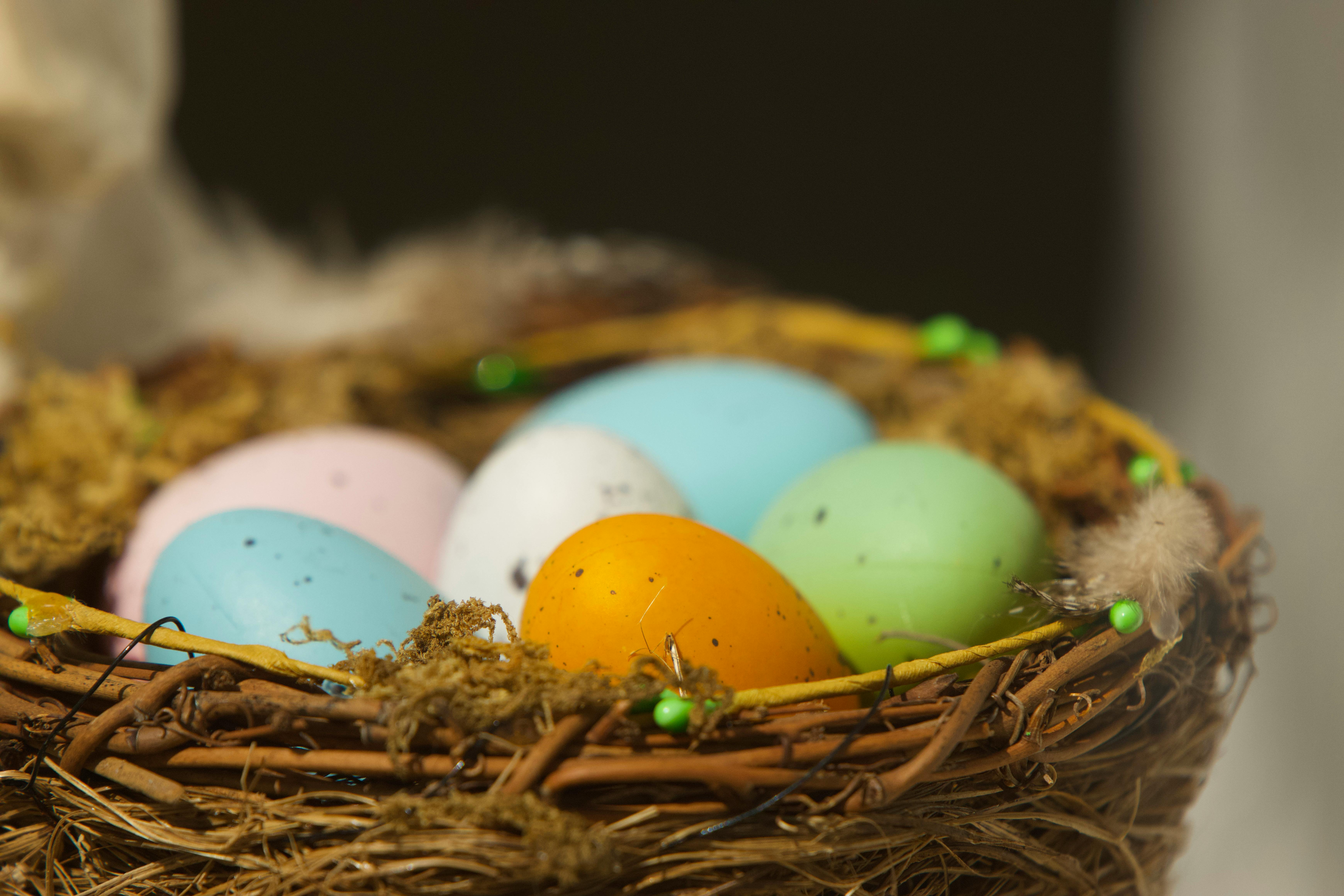 Colorful Easter Eggs in a Nest · Free Stock Photo