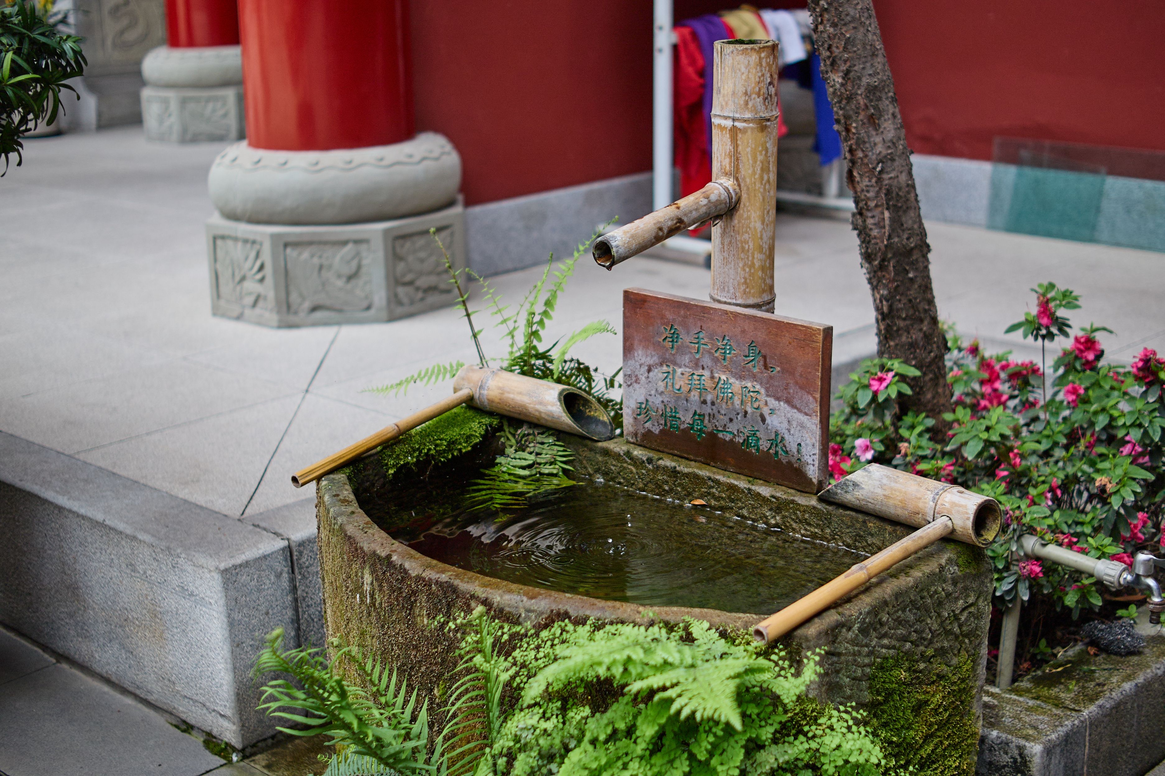 Traditional Japanese Water Fountain in Peaceful Garden · Free Stock Photo