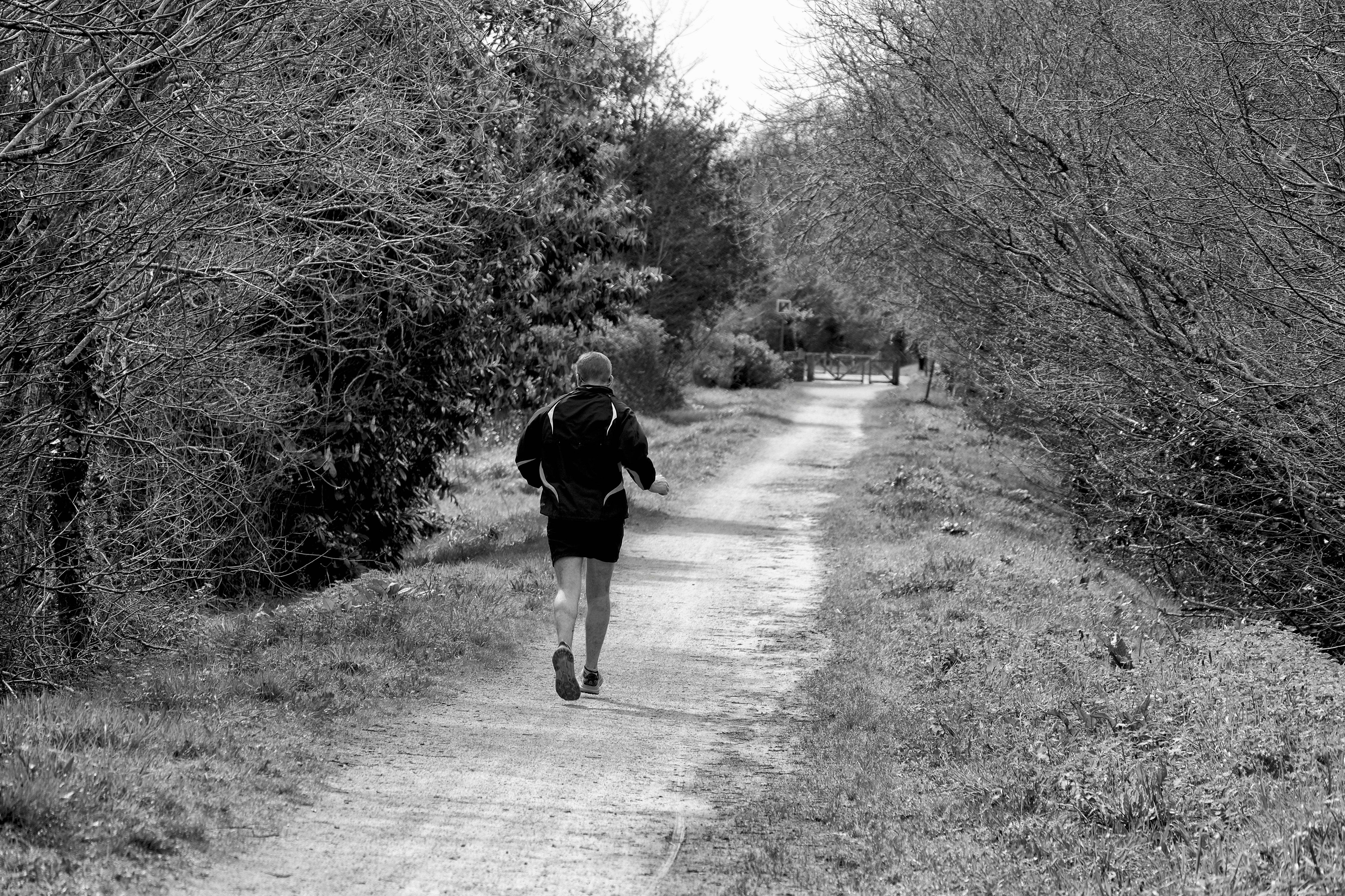 Recreational Running Photos, Download The BEST Free Recreational ...