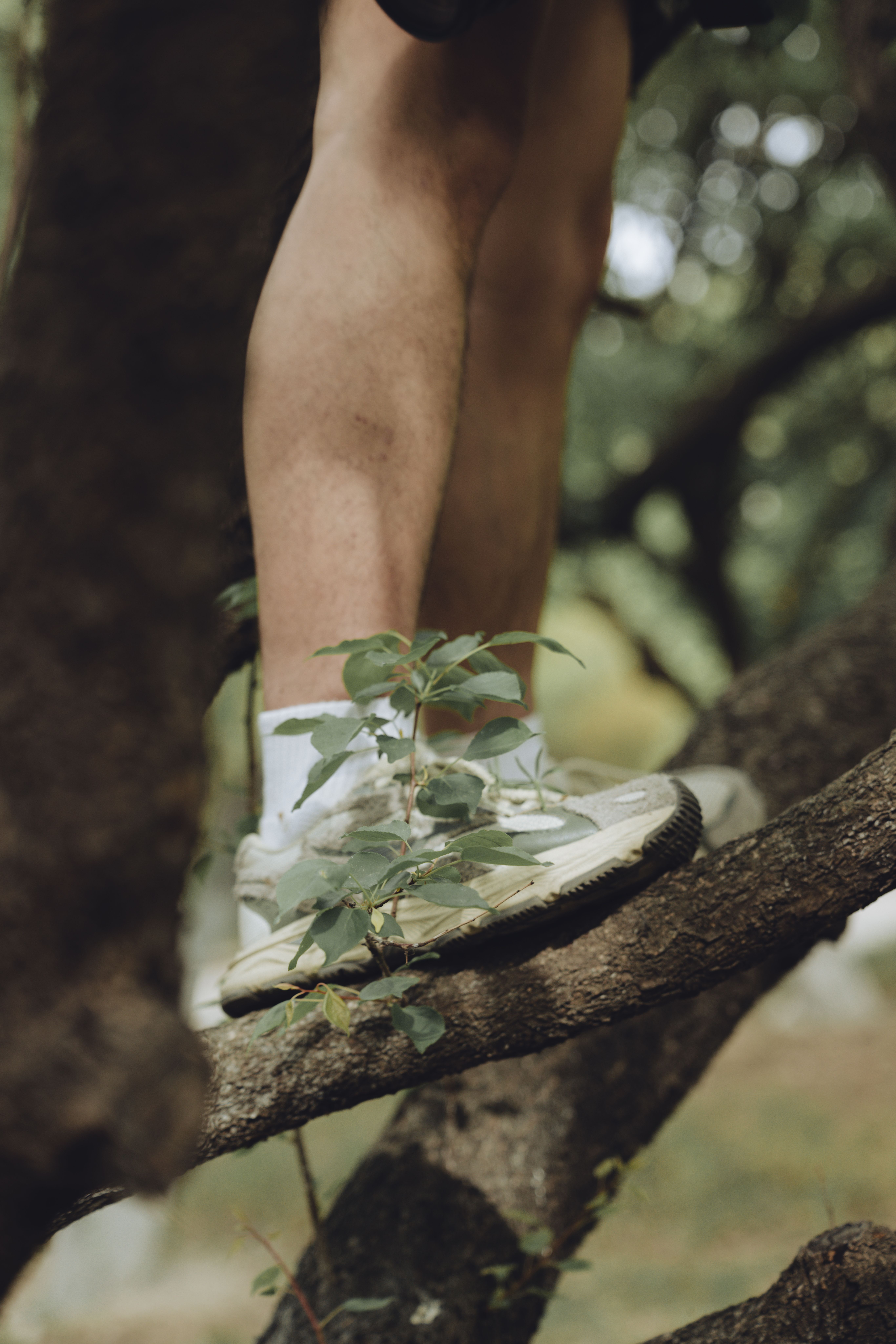 Man Climbing Tree Branch in Sporty Sneakers Outdoors · Free Stock Photo