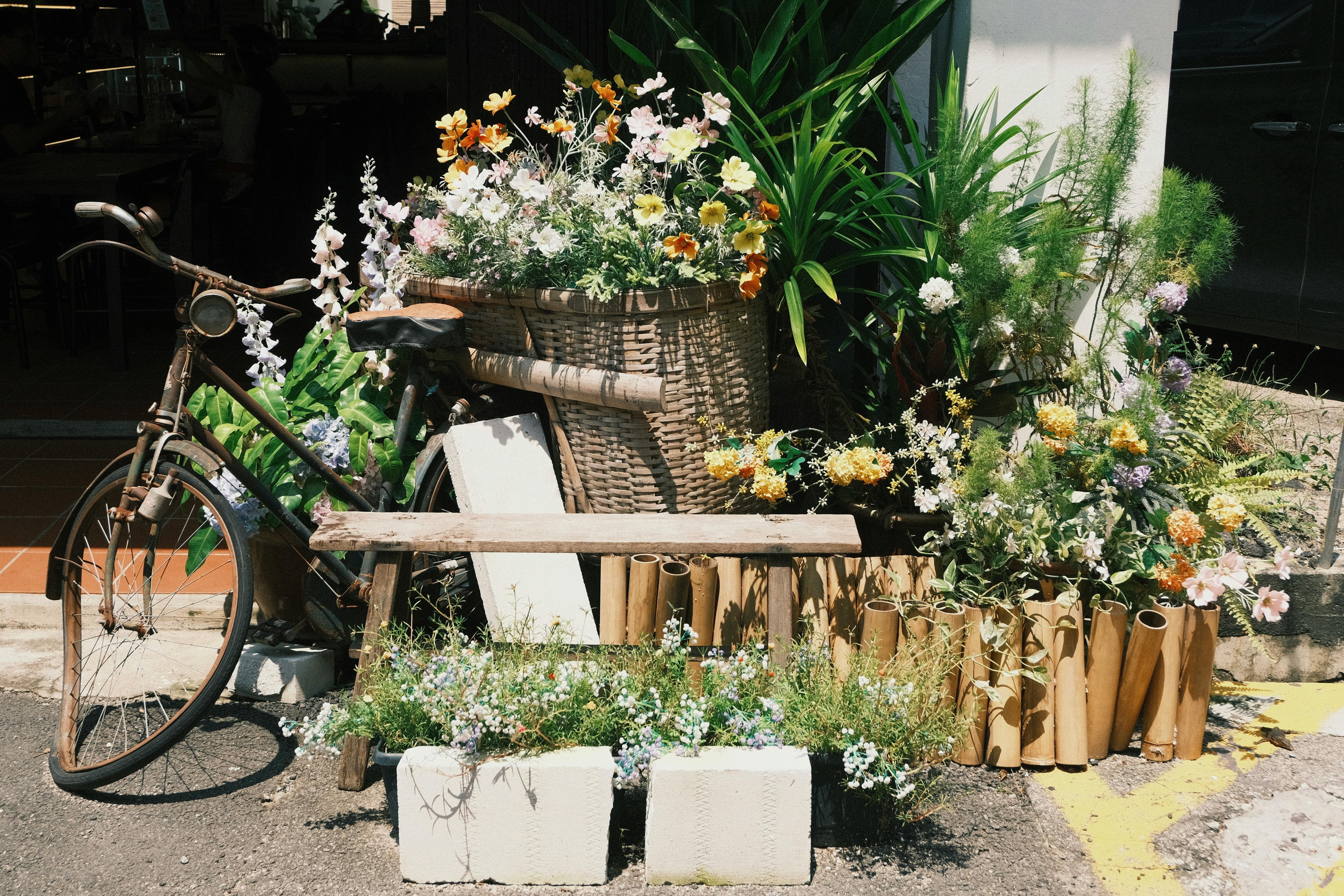 Rustic Bicycle and Flower Basket in Sunlit Garden · Free Stock Photo