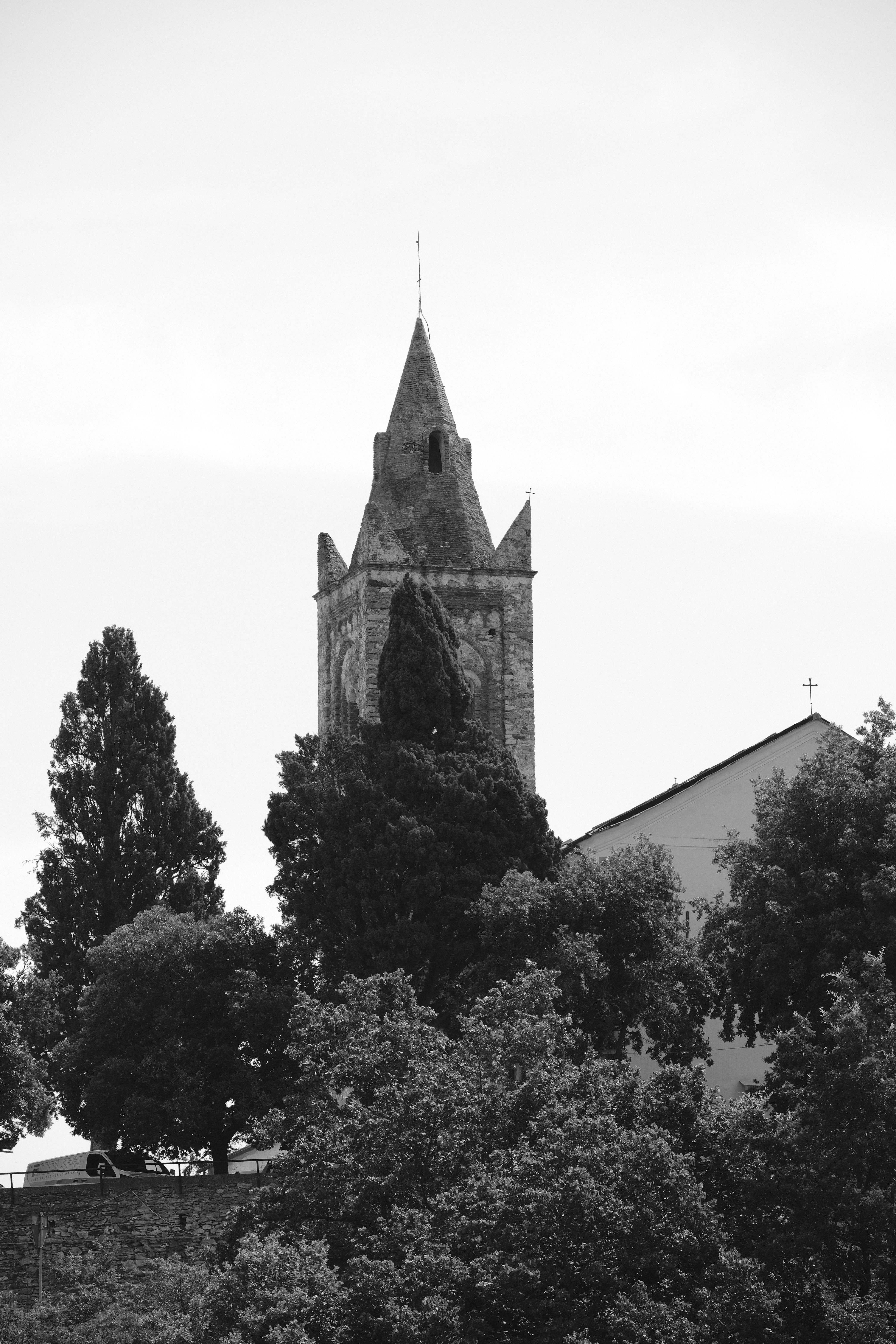 Black and White Italian Church Tower and Trees · Free Stock Photo