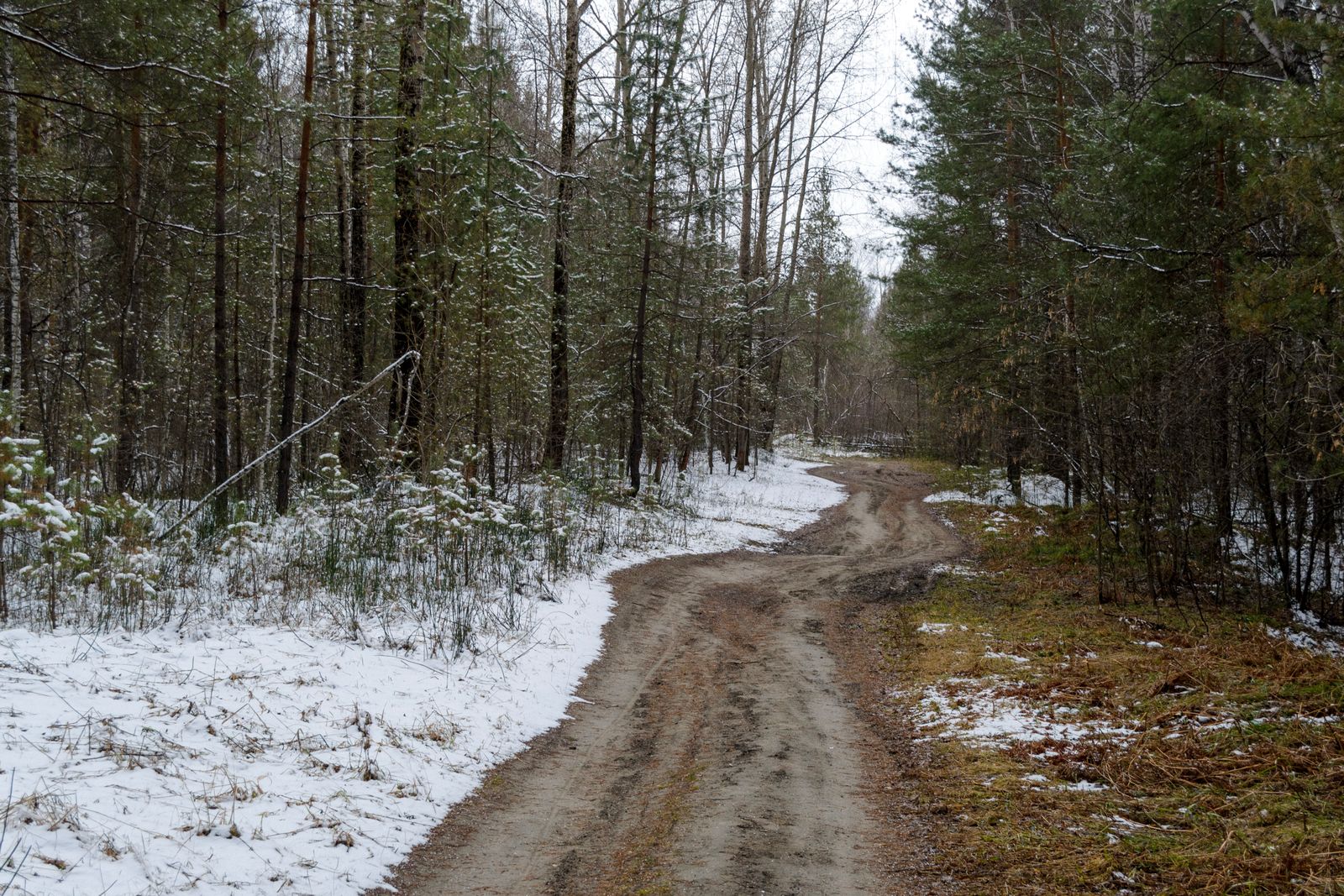 Winter To Spring Photos, Download The BEST Free Winter To Spring Stock ...