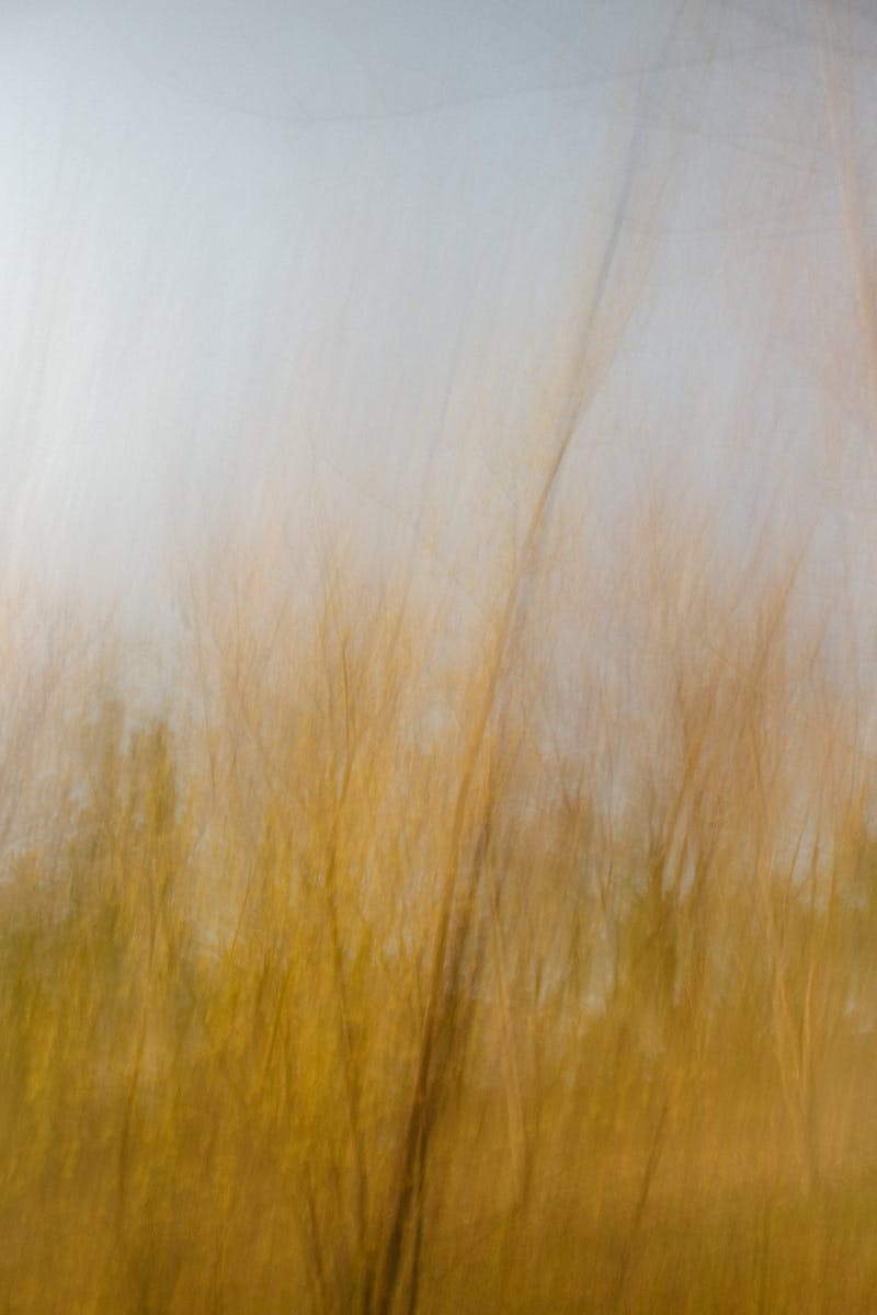 Abstract Landscape Photos, Download The BEST Free Abstract Landscape ...