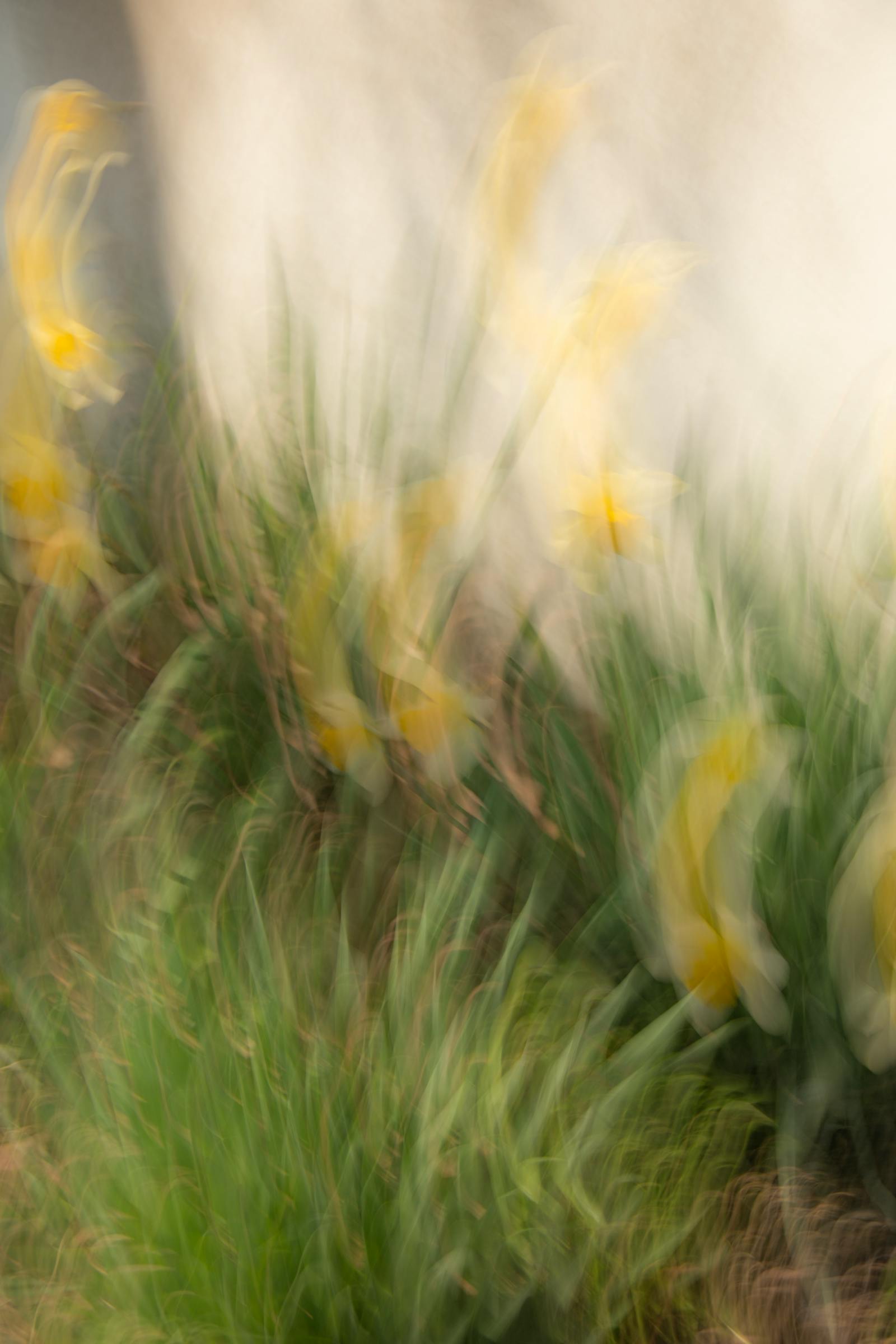 Abstract Landscape Photos, Download The BEST Free Abstract Landscape ...