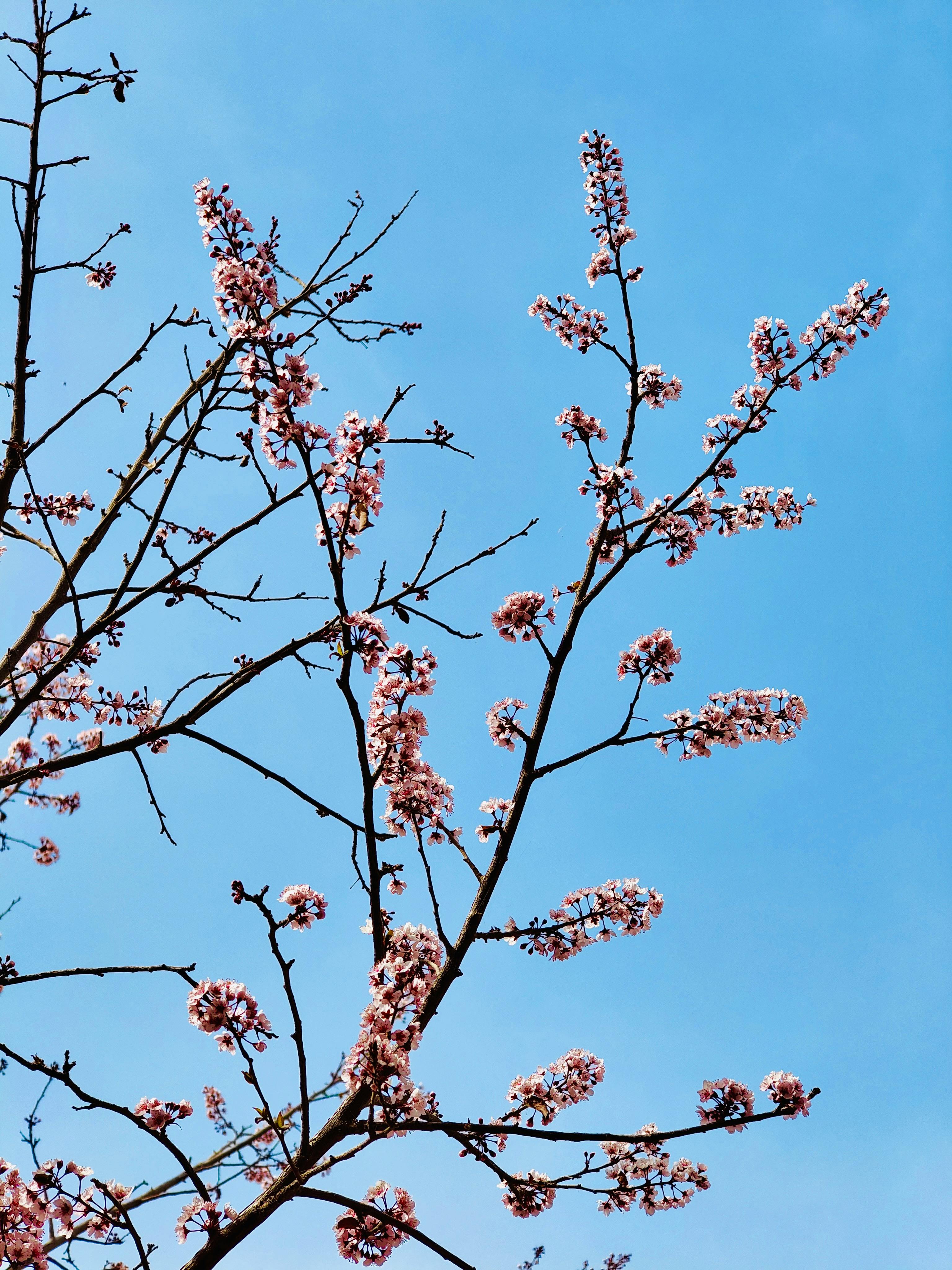 304+ Fotos y Imágenes de 出12345+abc的吧一天按不出12345+abc的吧一天才你 Gratis · Banco de Fotos Gratis