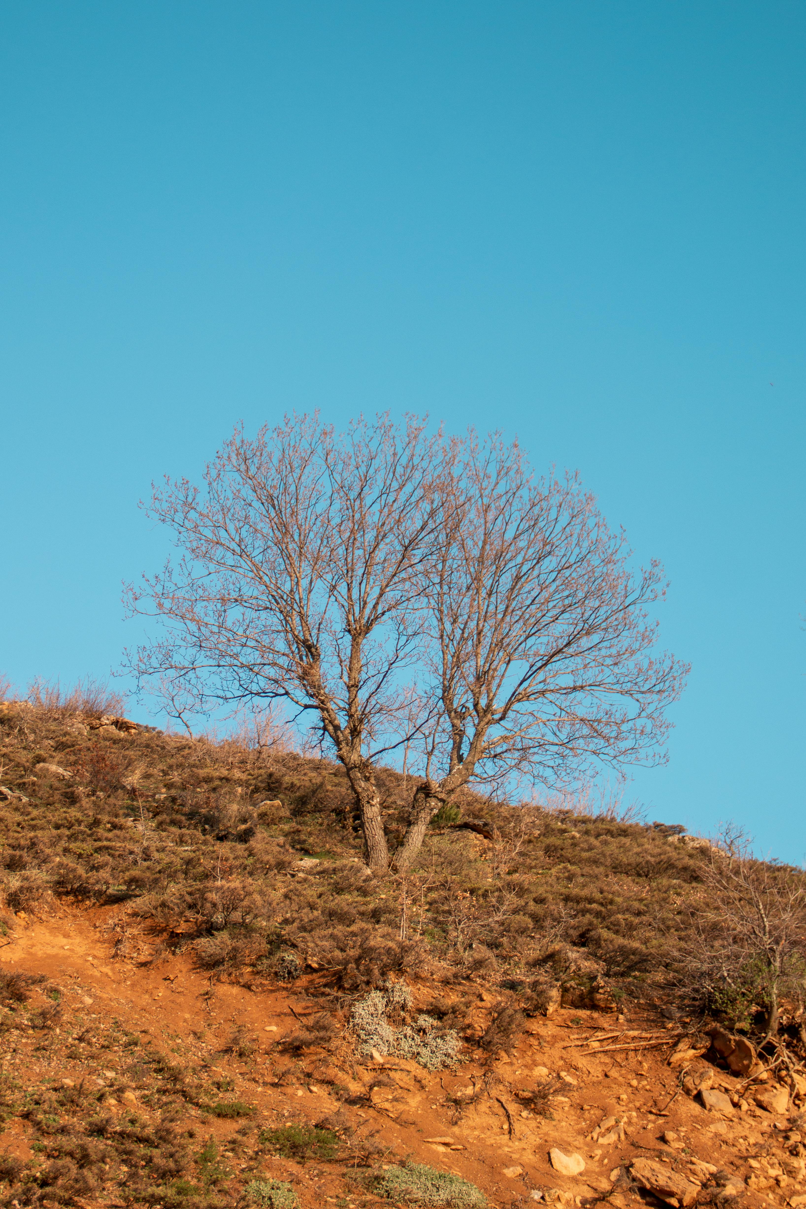 Video+Downloader+Fast Photos, Download The BEST Free Video+Downloader ...