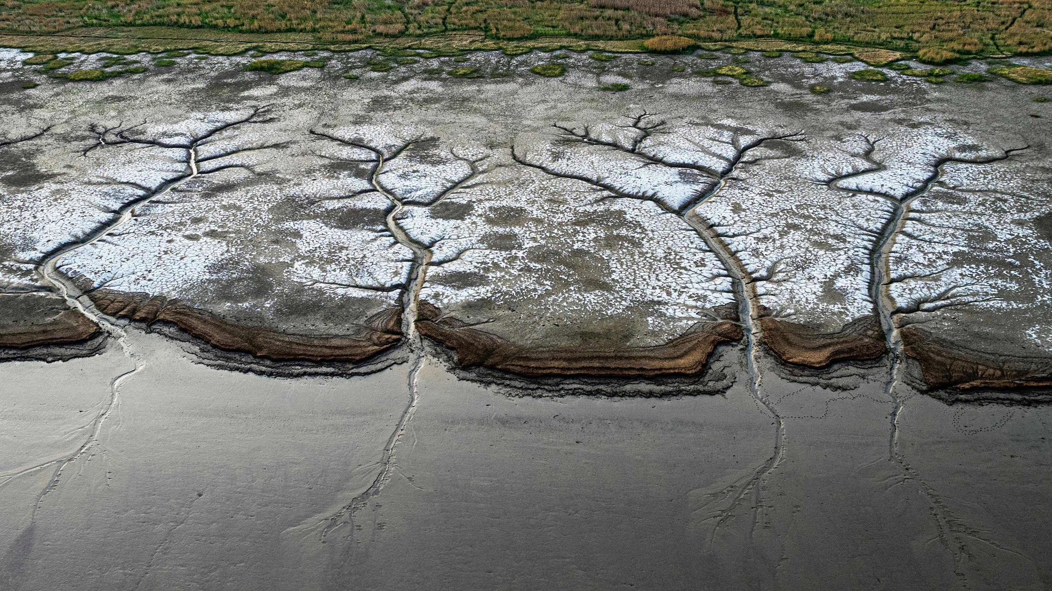 Aerial View of Tidal Patterns on Mudflat Terrain · Free Stock Photo