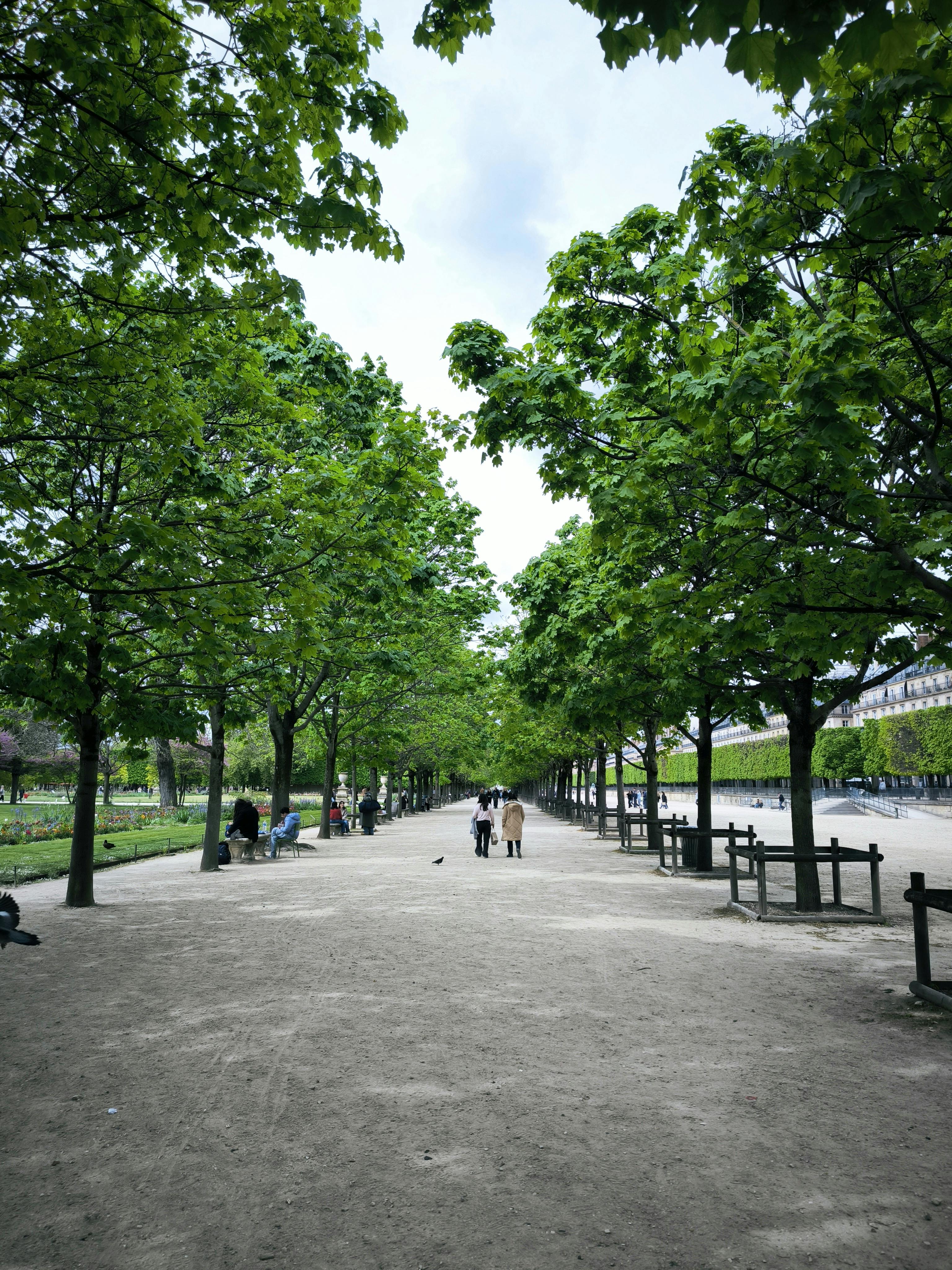 Peaceful Pathway in Tree-Lined Park · Free Stock Photo