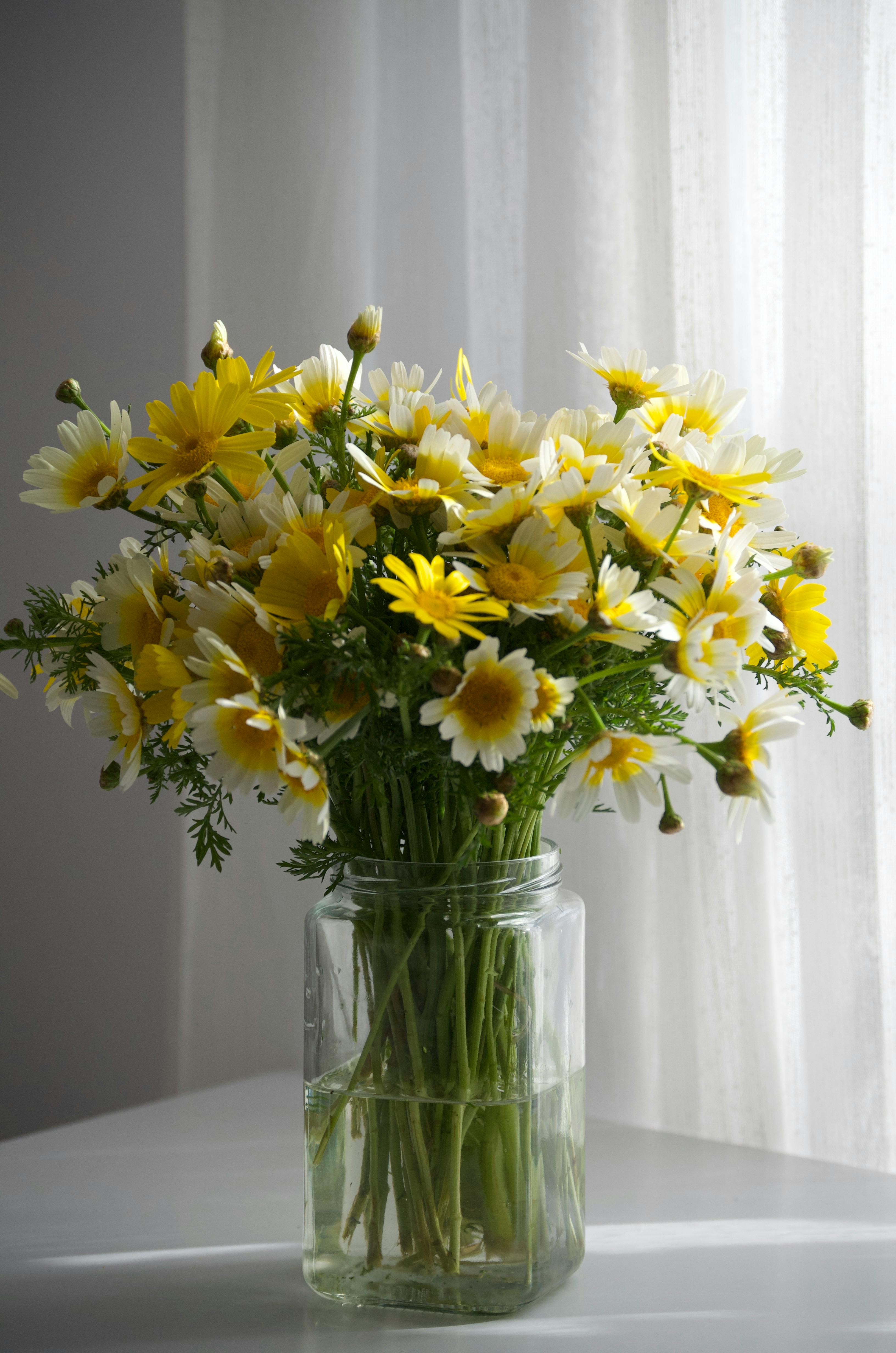Bright Vase of Yellow and White Daisies in Sunlight · Free Stock Photo