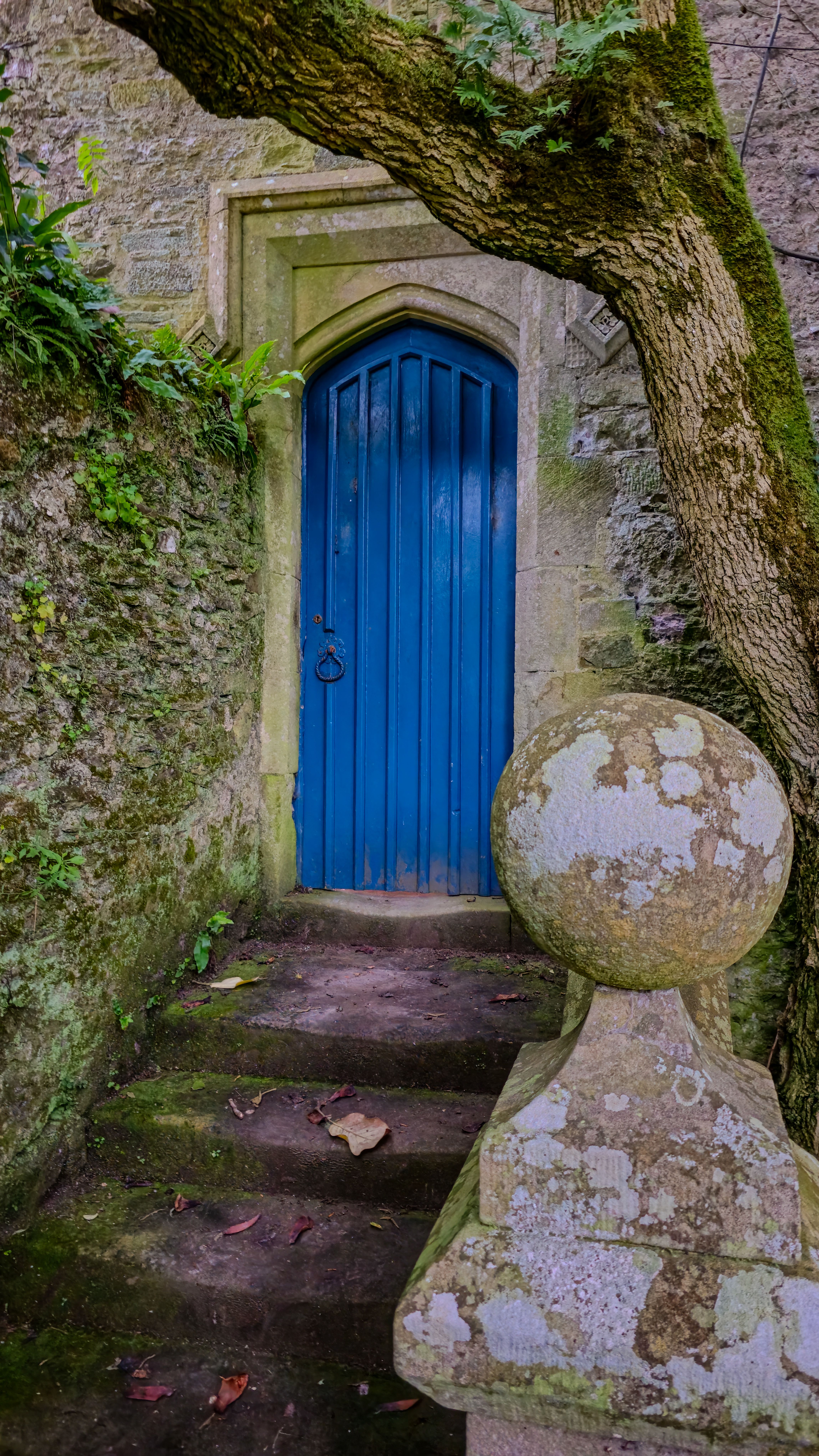 Irish Jig Photos, Download The BEST Free Irish Jig Stock Photos & HD Images