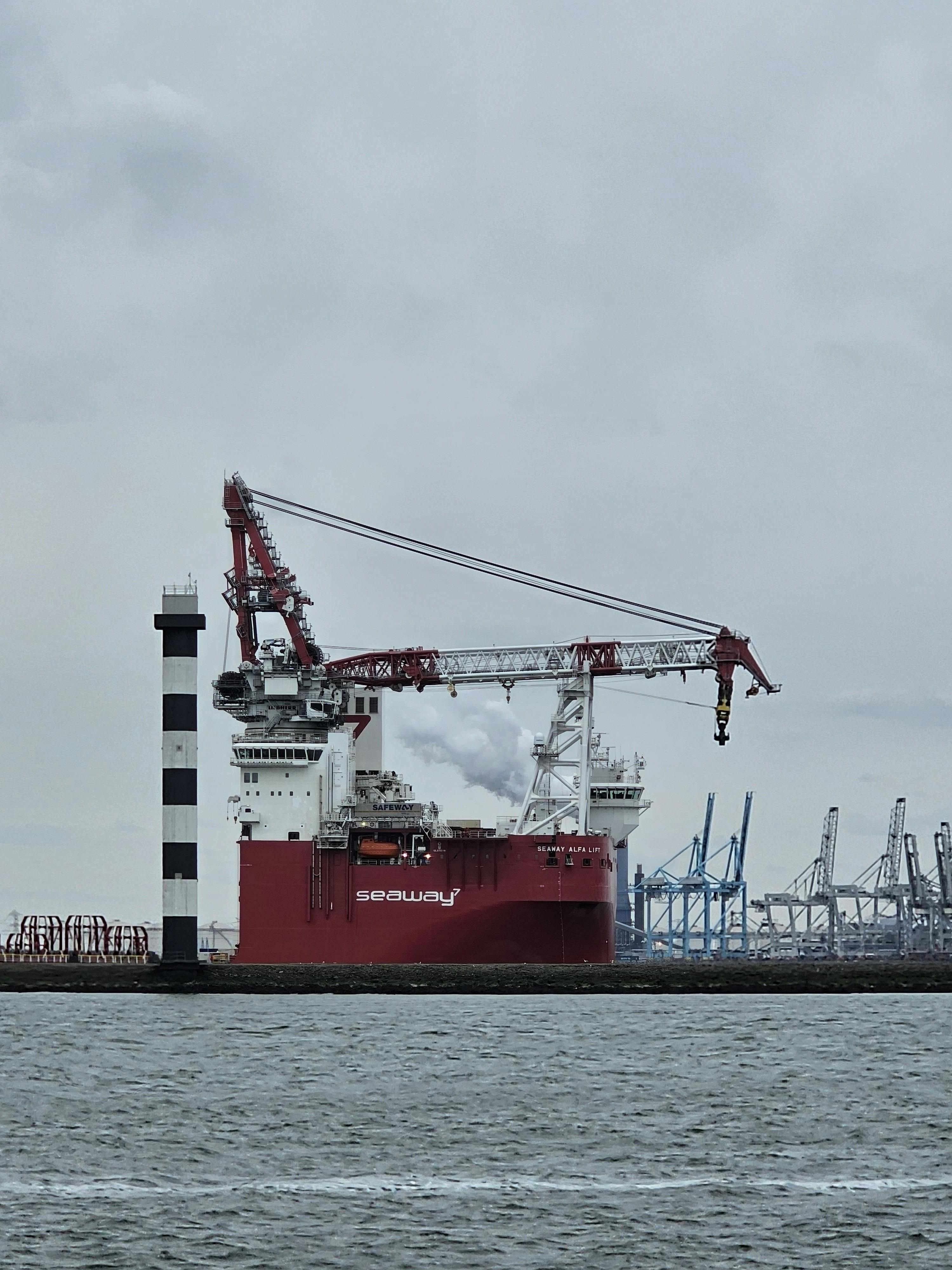 Cranes Seches Photos, Download The BEST Free Cranes Seches Stock Photos ...