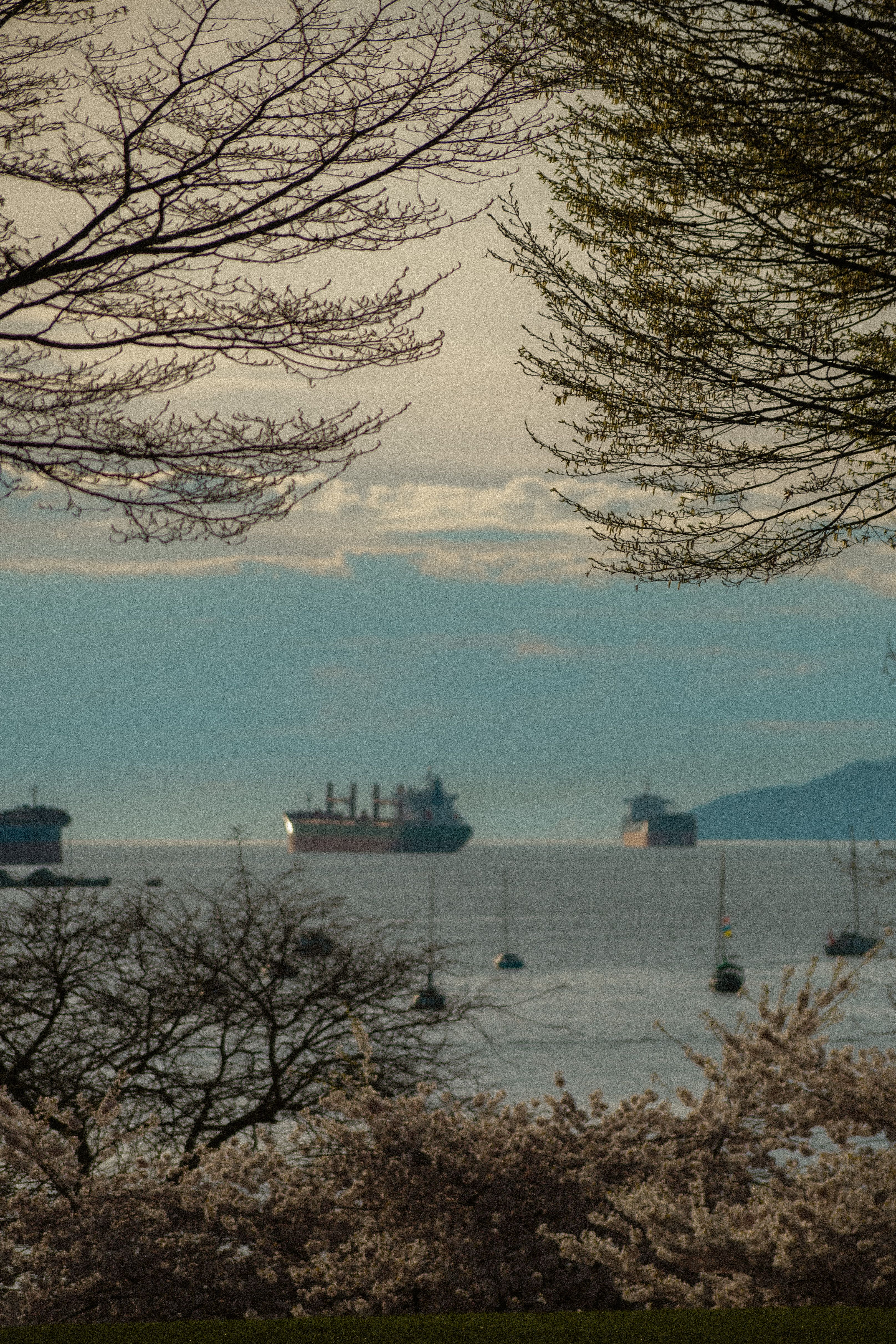 Cargo Ships in Vancouver Harbor at Dusk · Free Stock Photo
