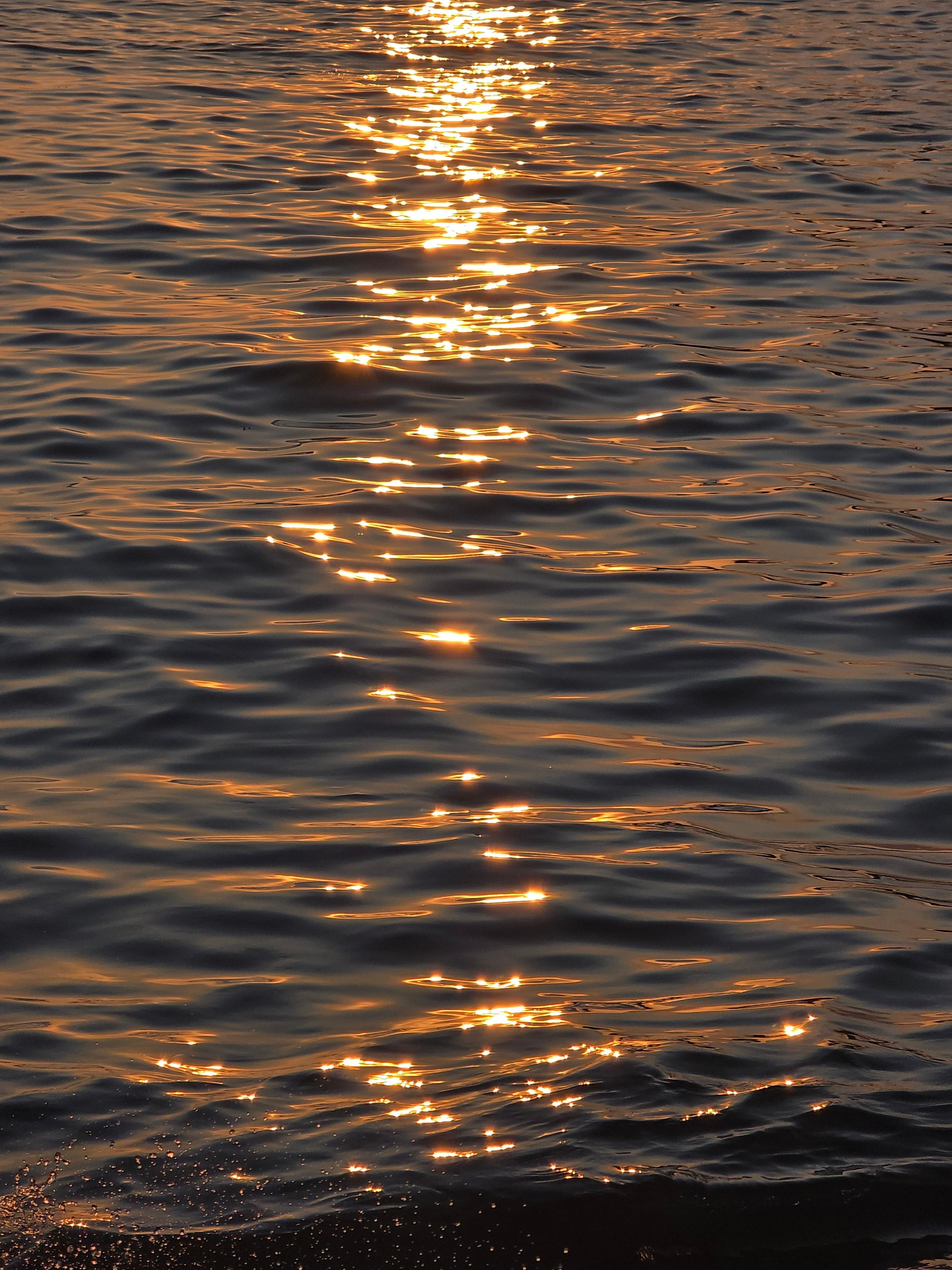 Sunset Reflection on Calm Ocean Waters · Free Stock Photo