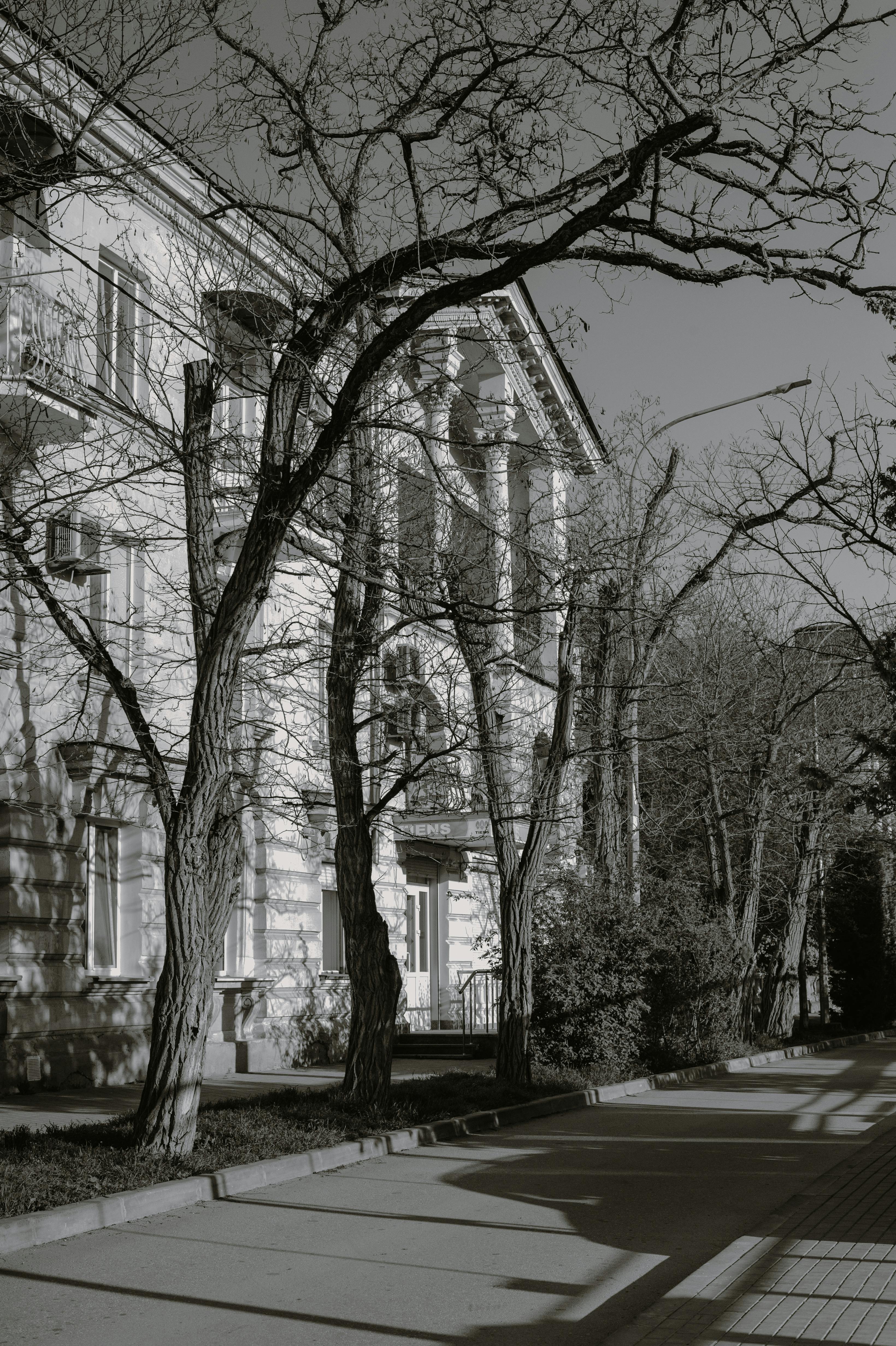 Adobe Fotoshooting Photos, Download The BEST Free Adobe Fotoshooting ...