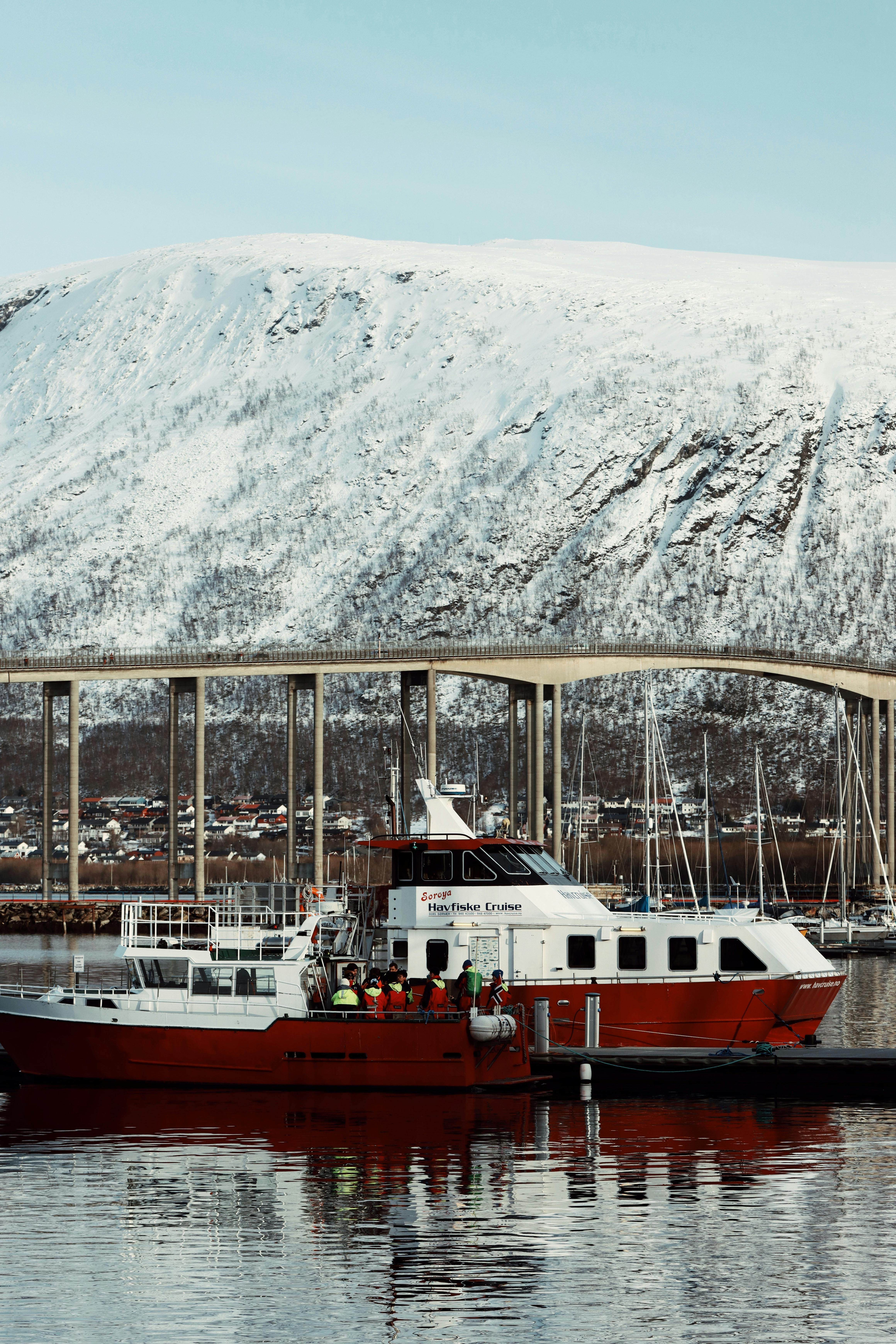 Tromsø Harbor with Boats and Snowy Mountains · Free Stock Photo