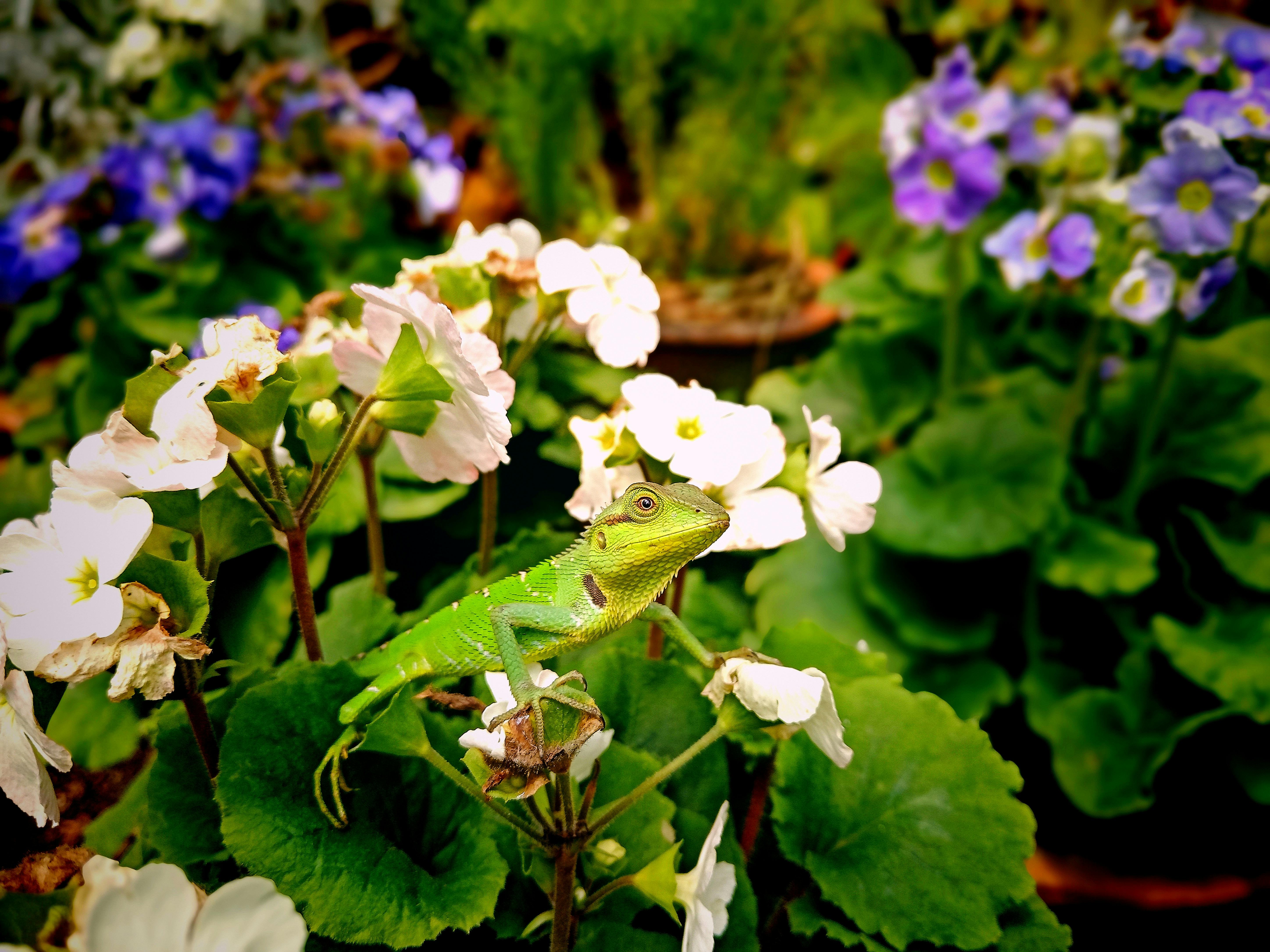 Jav+Nyoshin+Hd Photos, Download The BEST Free Jav+Nyoshin+Hd Stock ...