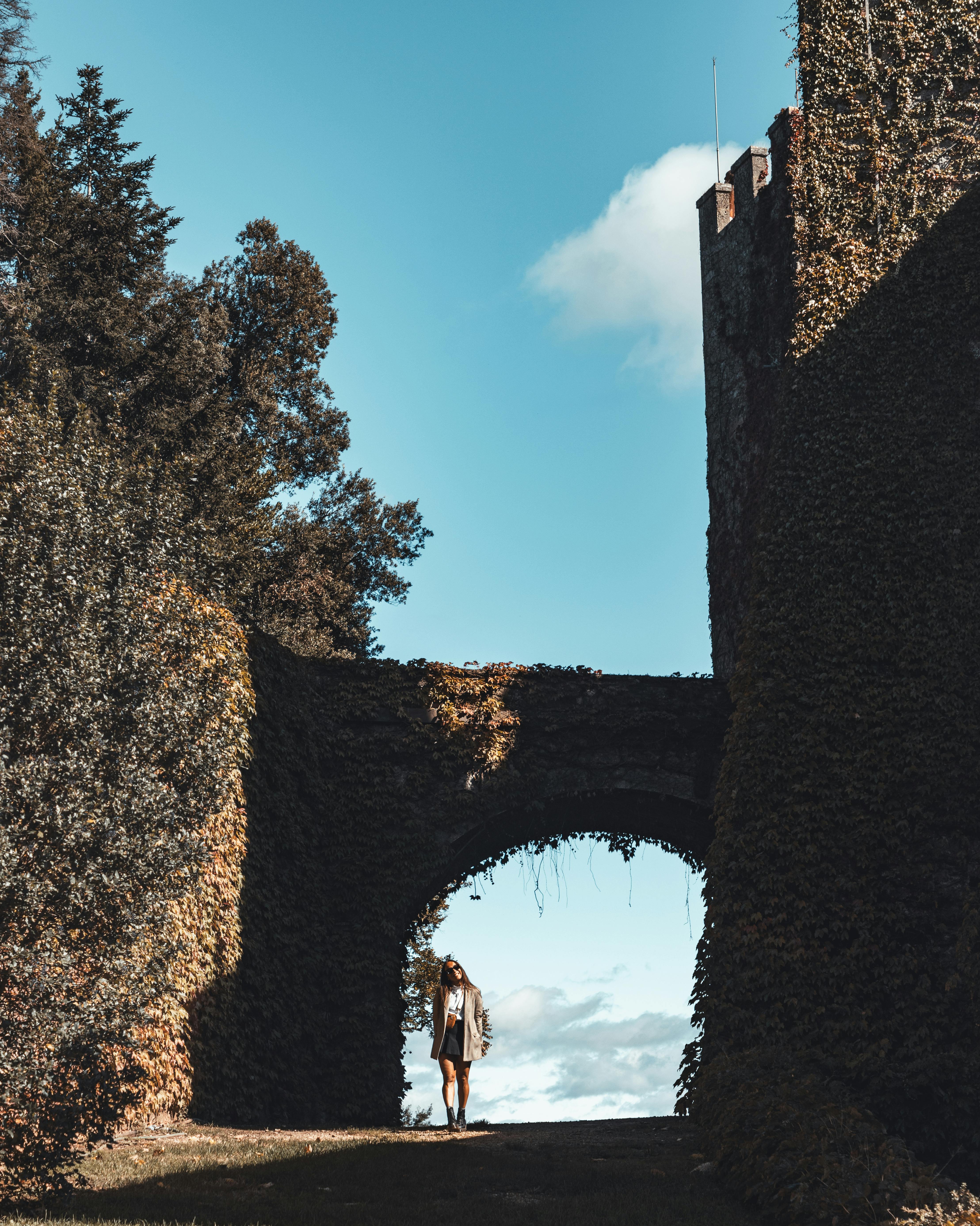 Arch Wall Photos, Download The BEST Free Arch Wall Stock Photos & HD Images