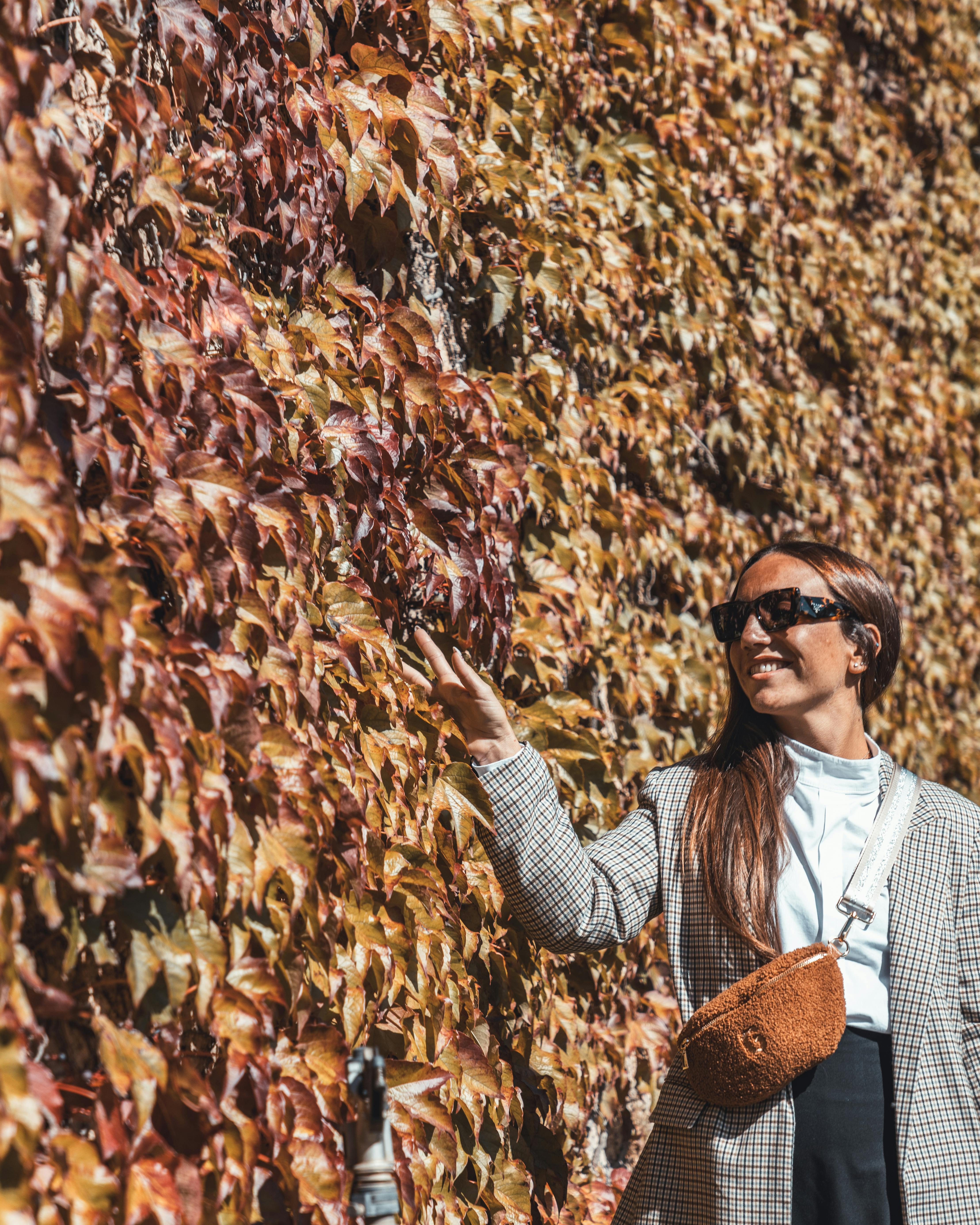 Pantalla Tactile Photos, Download The BEST Free Pantalla Tactile Stock ...