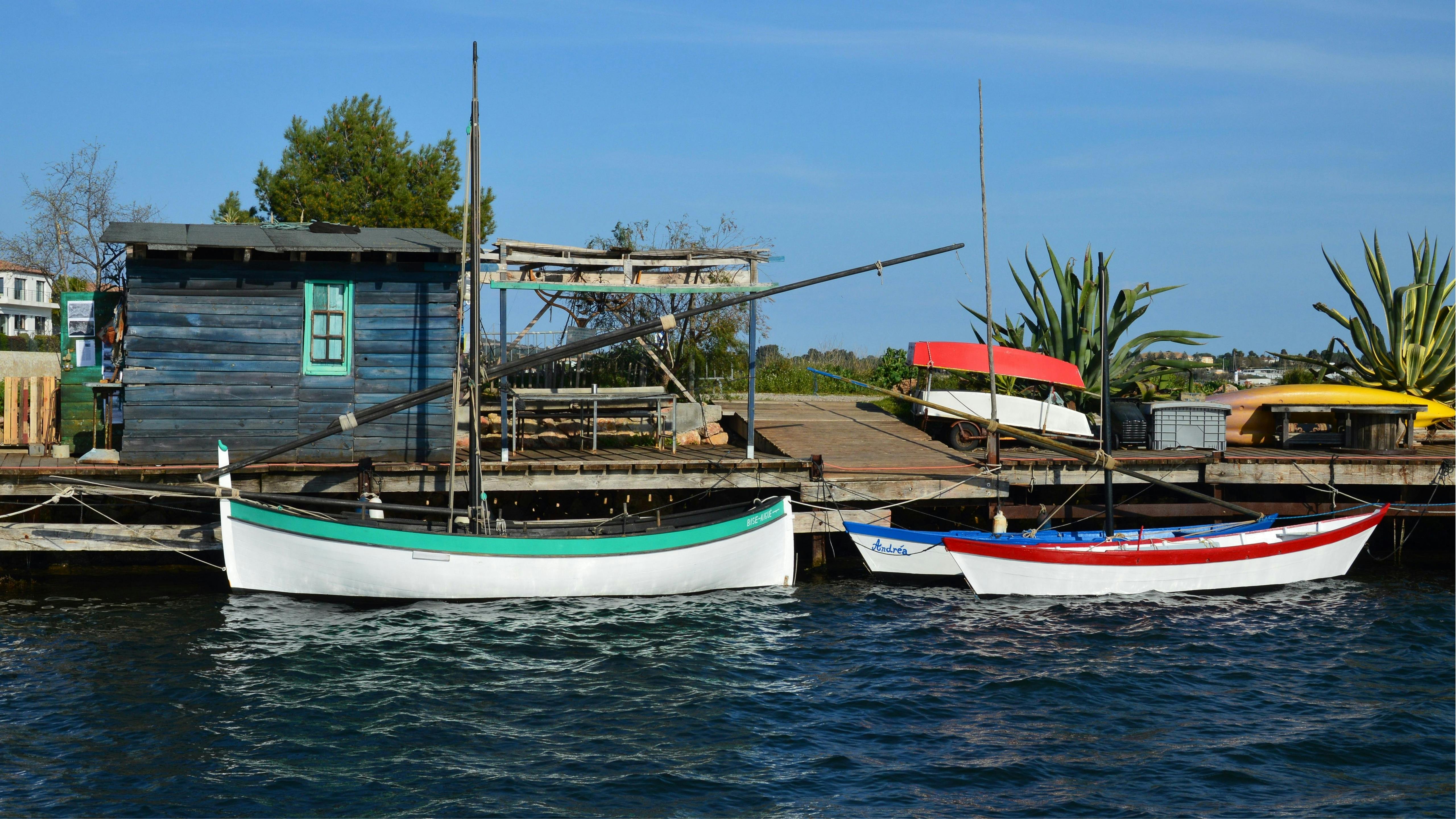 Traditional Fishing Boats Docked in Bouzigues, France · Free Stock Photo