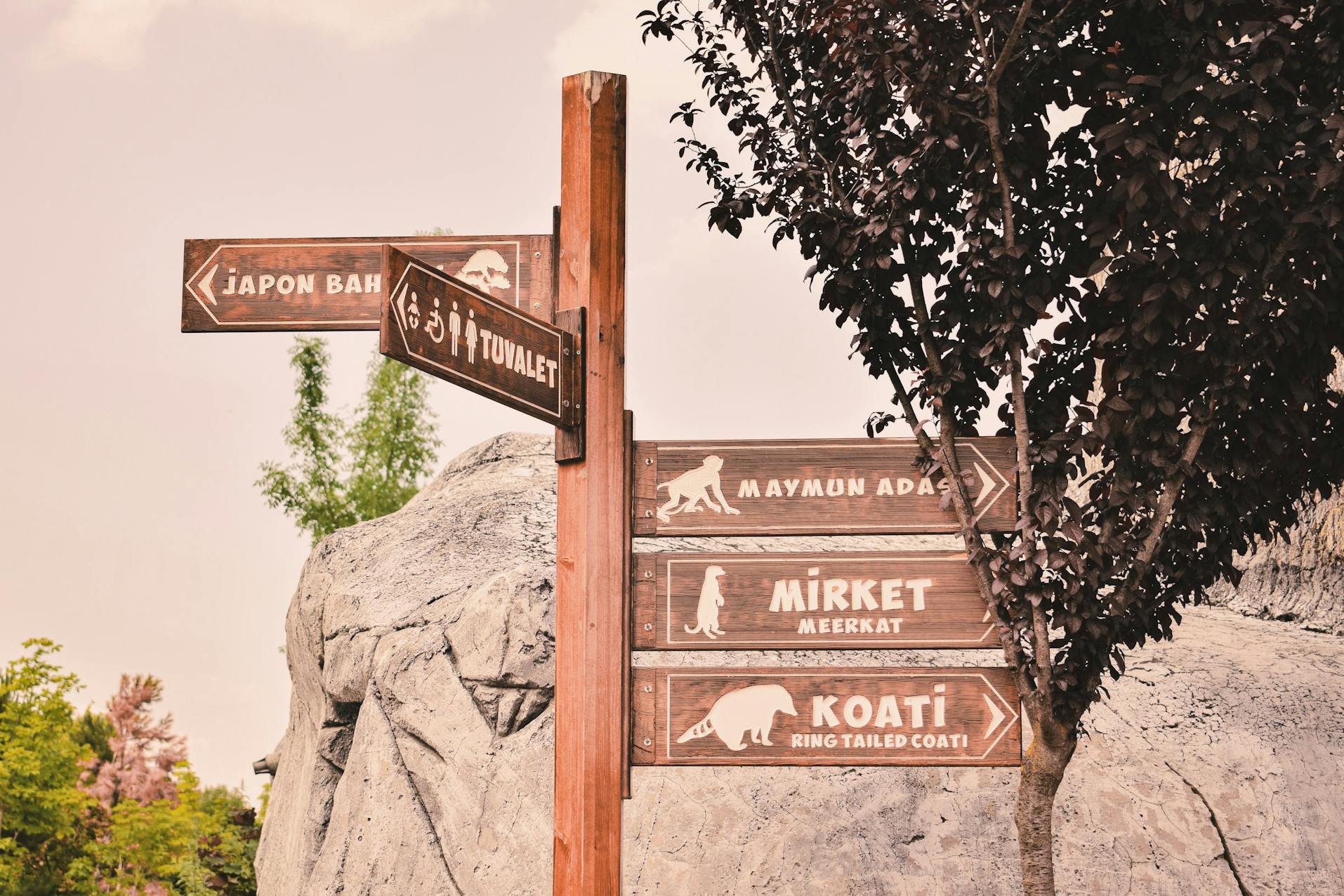 Animals in Captivity Statistics: Facts You Need to Know