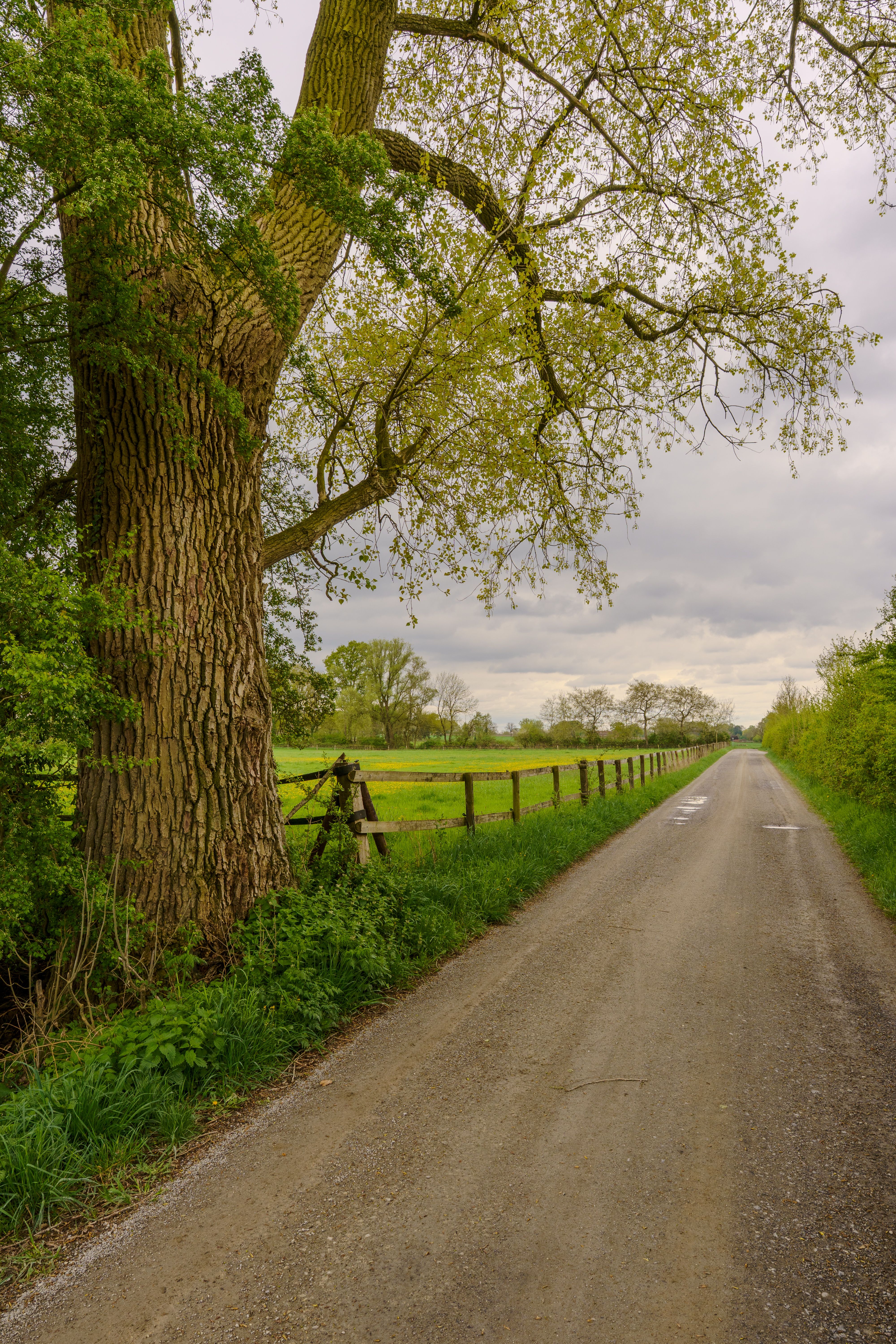 Long Road Photos, Download The BEST Free Long Road Stock Photos & HD Images