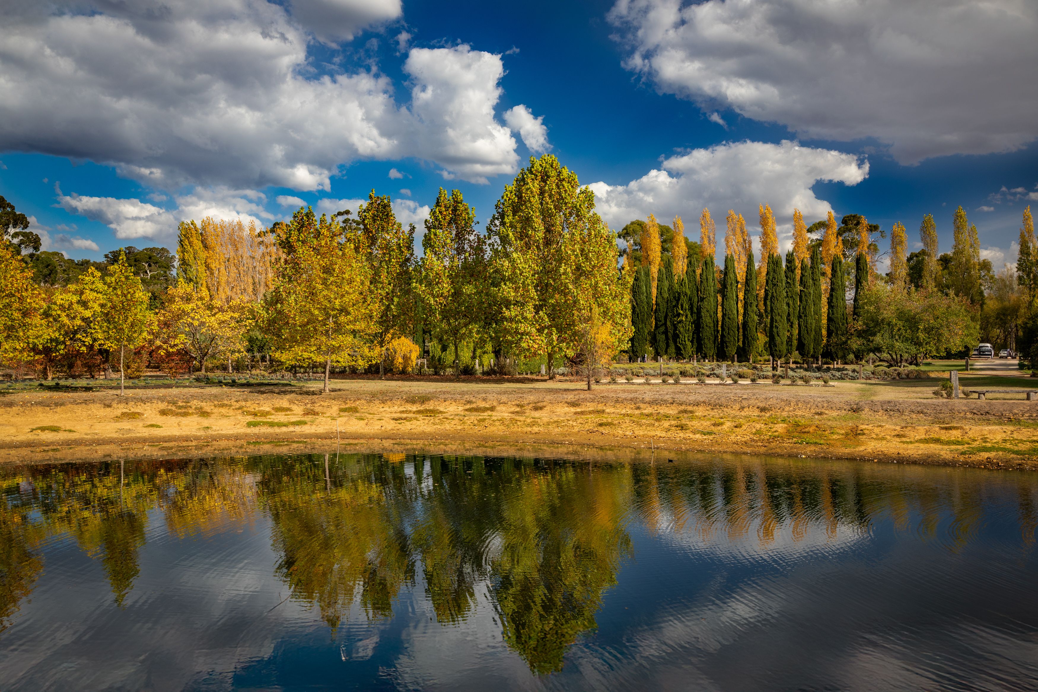 Park Photography Photos, Download The BEST Free Park Photography Stock ...