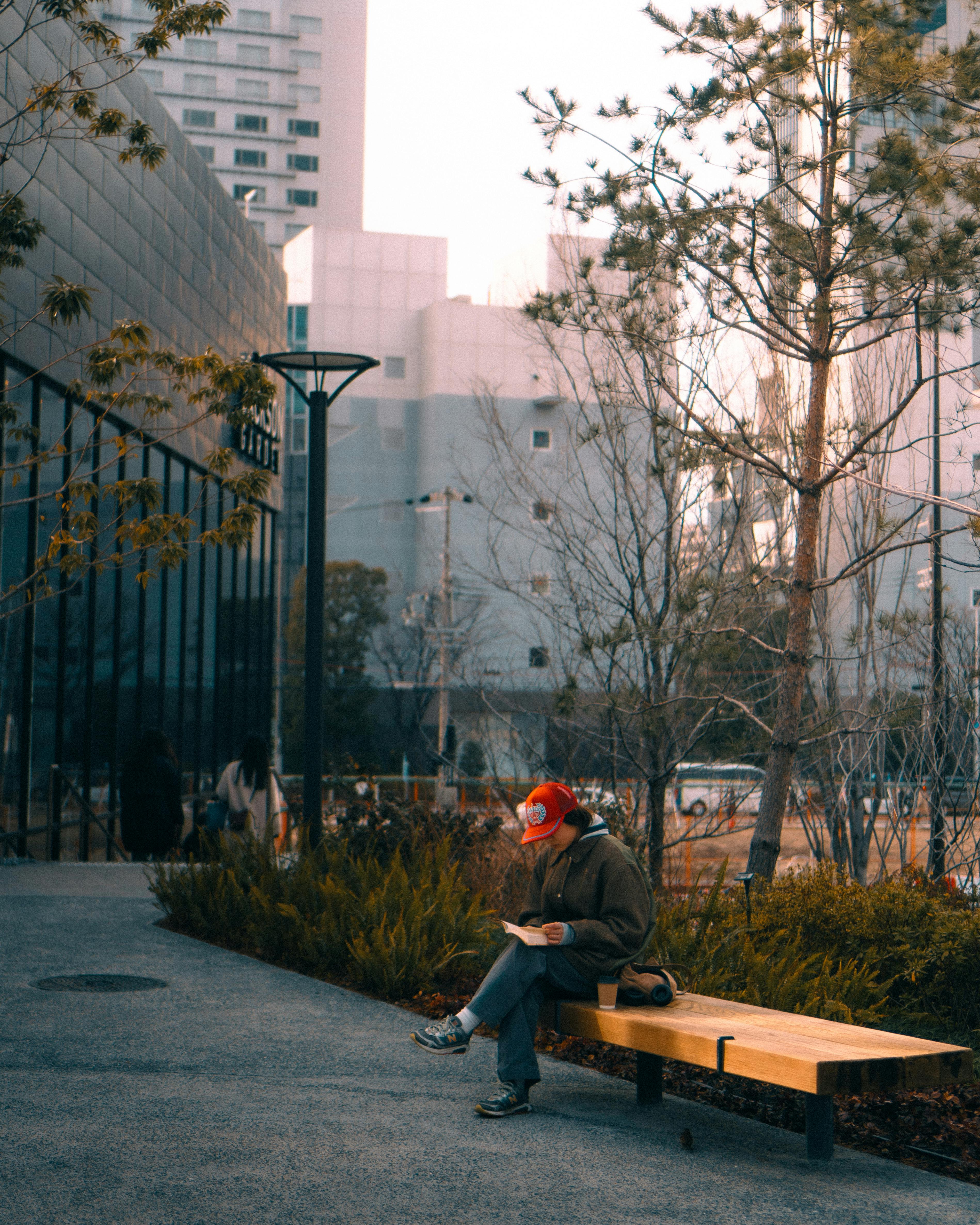 Peter Mackinnon Photos, Download The BEST Free Peter Mackinnon Stock ...