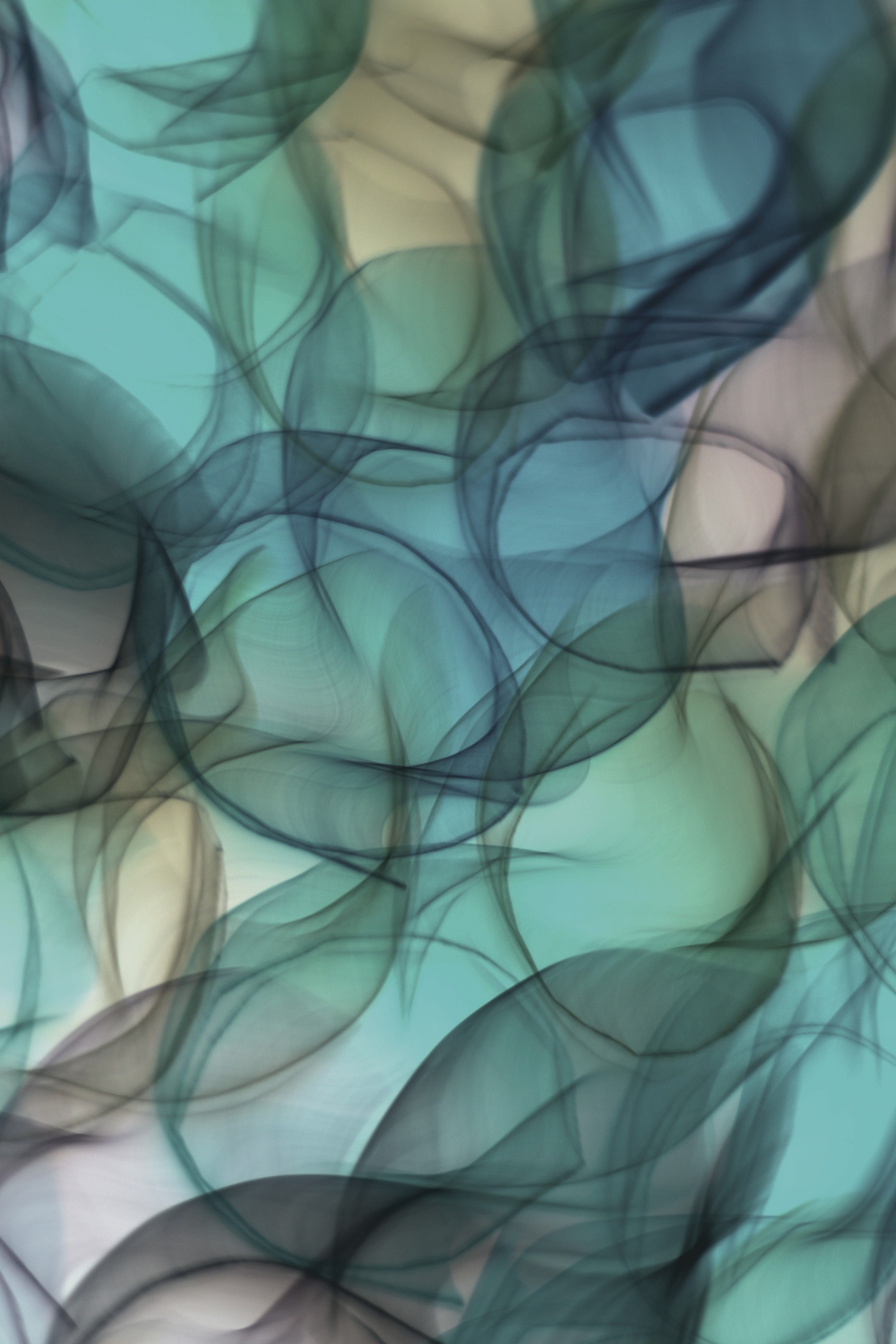 Abstract Art with Translucent Overlapping Shapes · Free Stock Photo