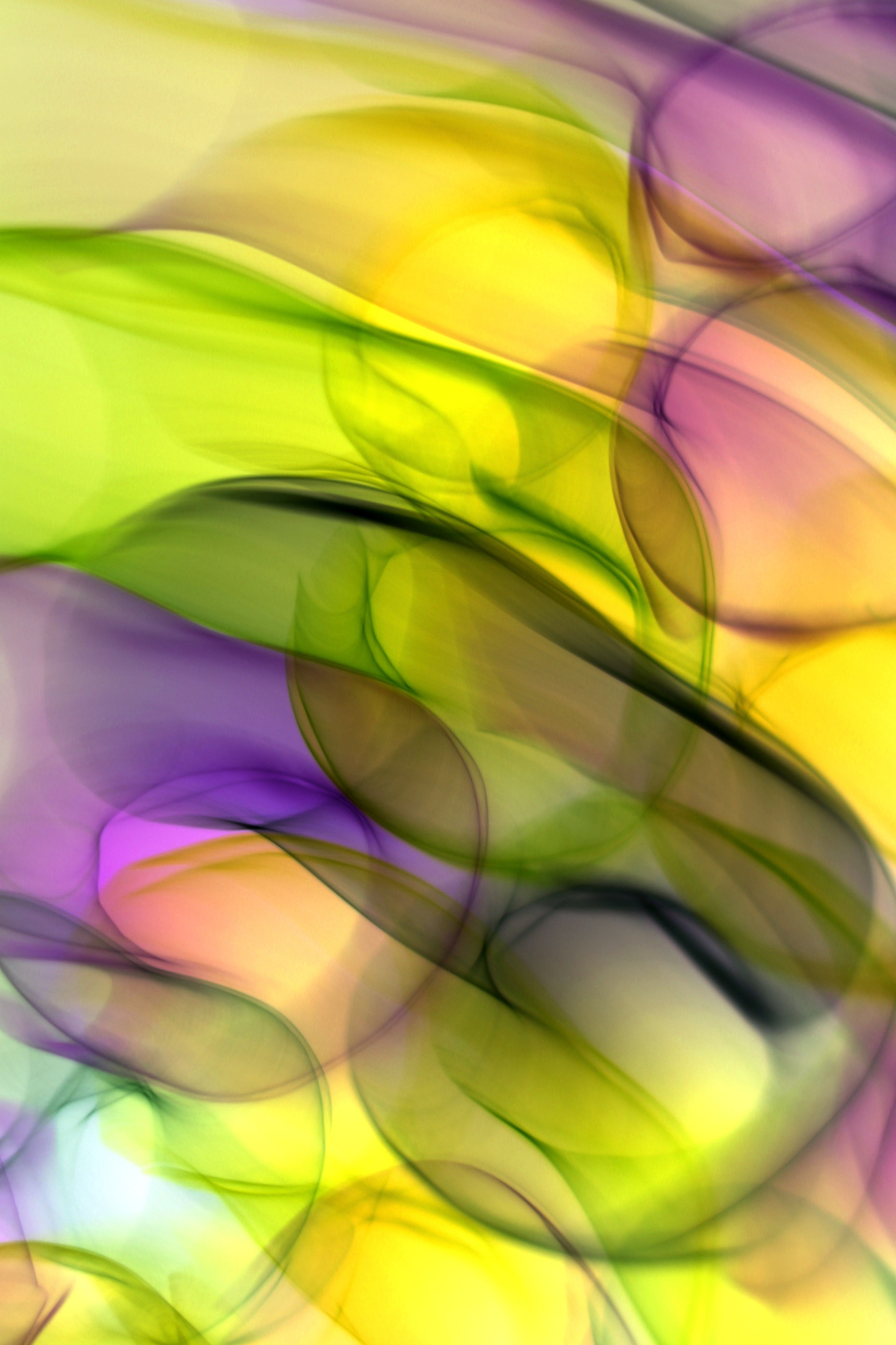 Colorful Abstract Light Waves in Dynamic Motion · Free Stock Photo