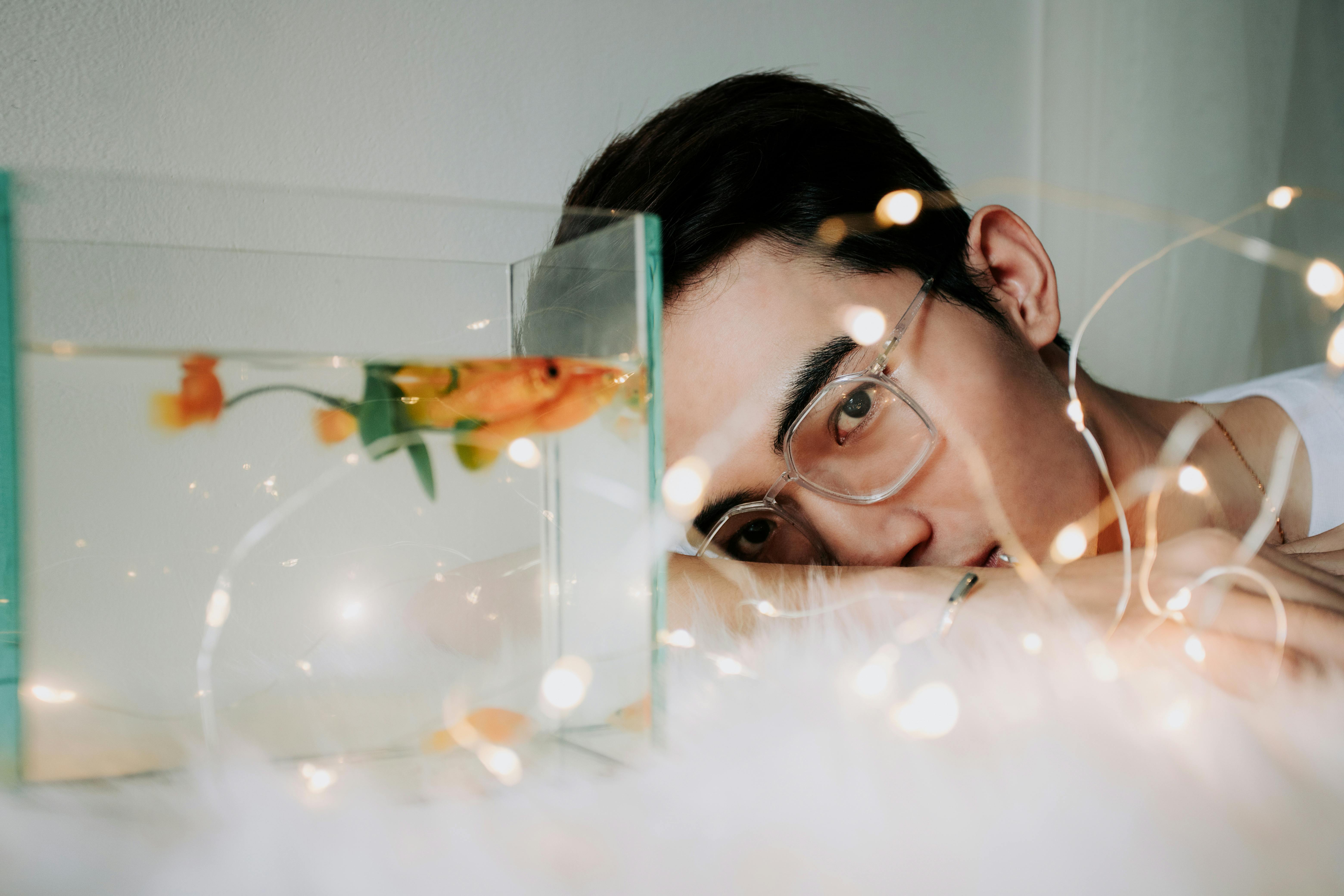 Fish Face Photos, Download The BEST Free Fish Face Stock Photos & HD Images