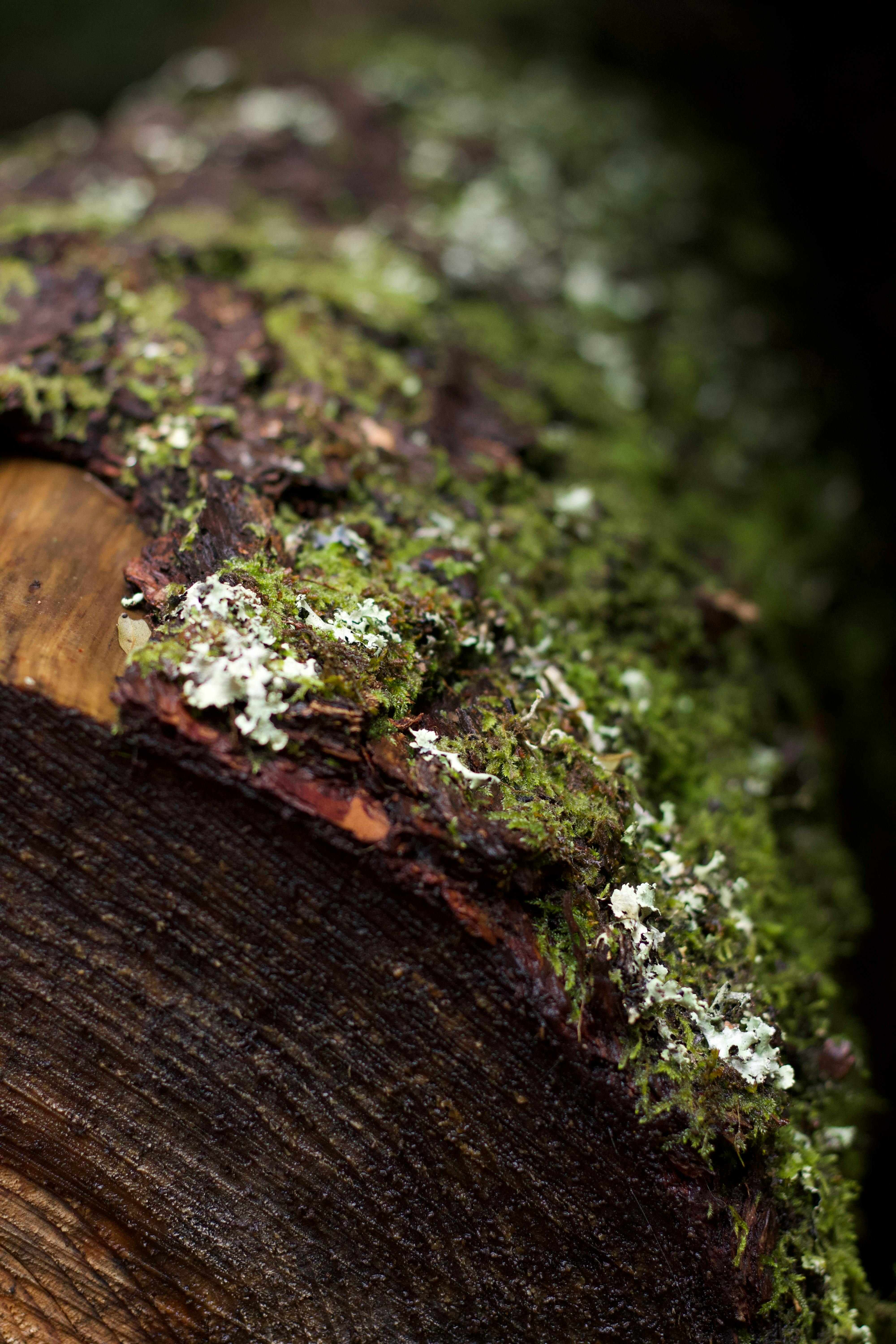 Matematica Kelas Log Photos, Download The BEST Free Matematica Kelas ...