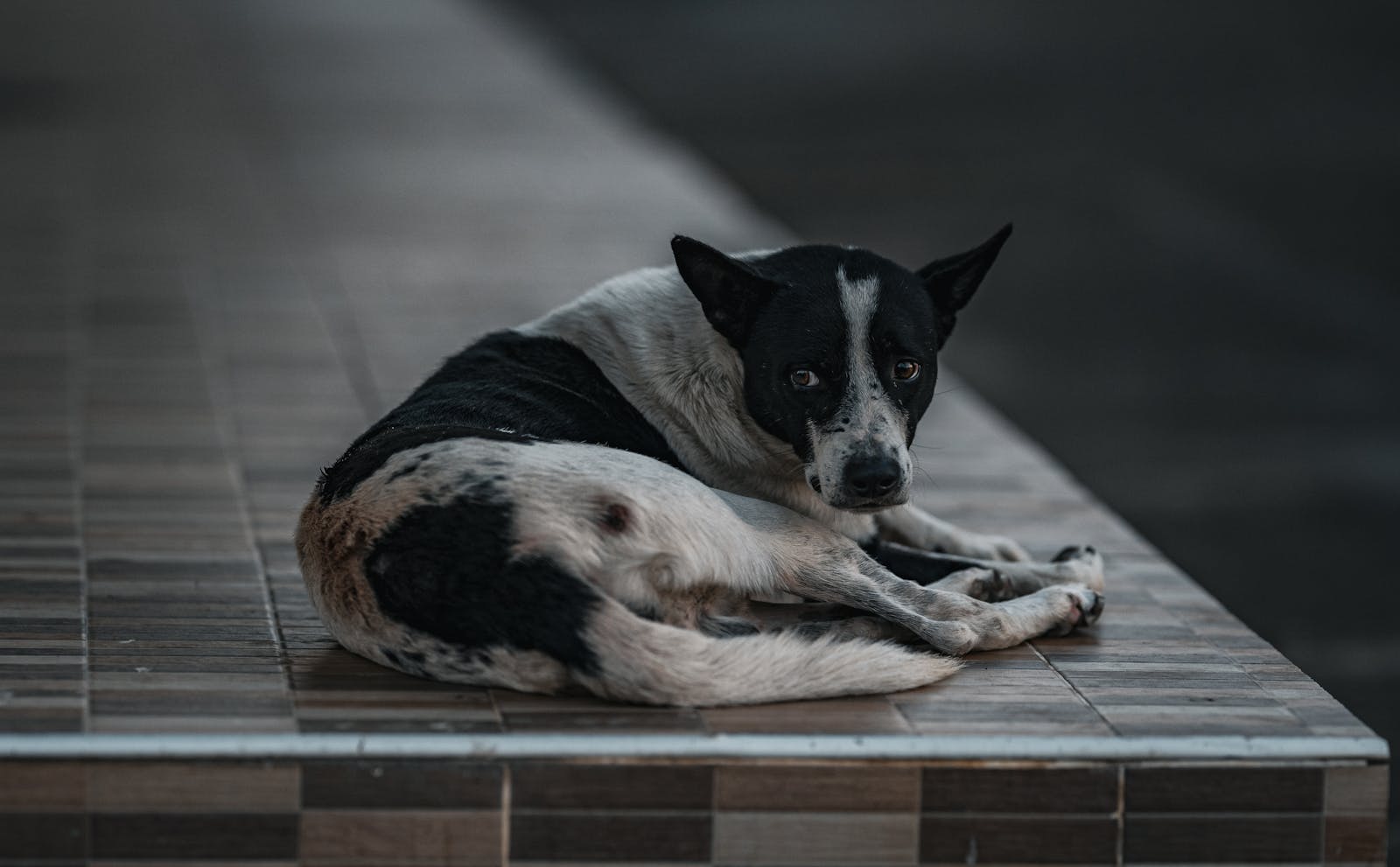 Free Pix Photos, Download The BEST Free Free Pix Stock Photos & HD Images