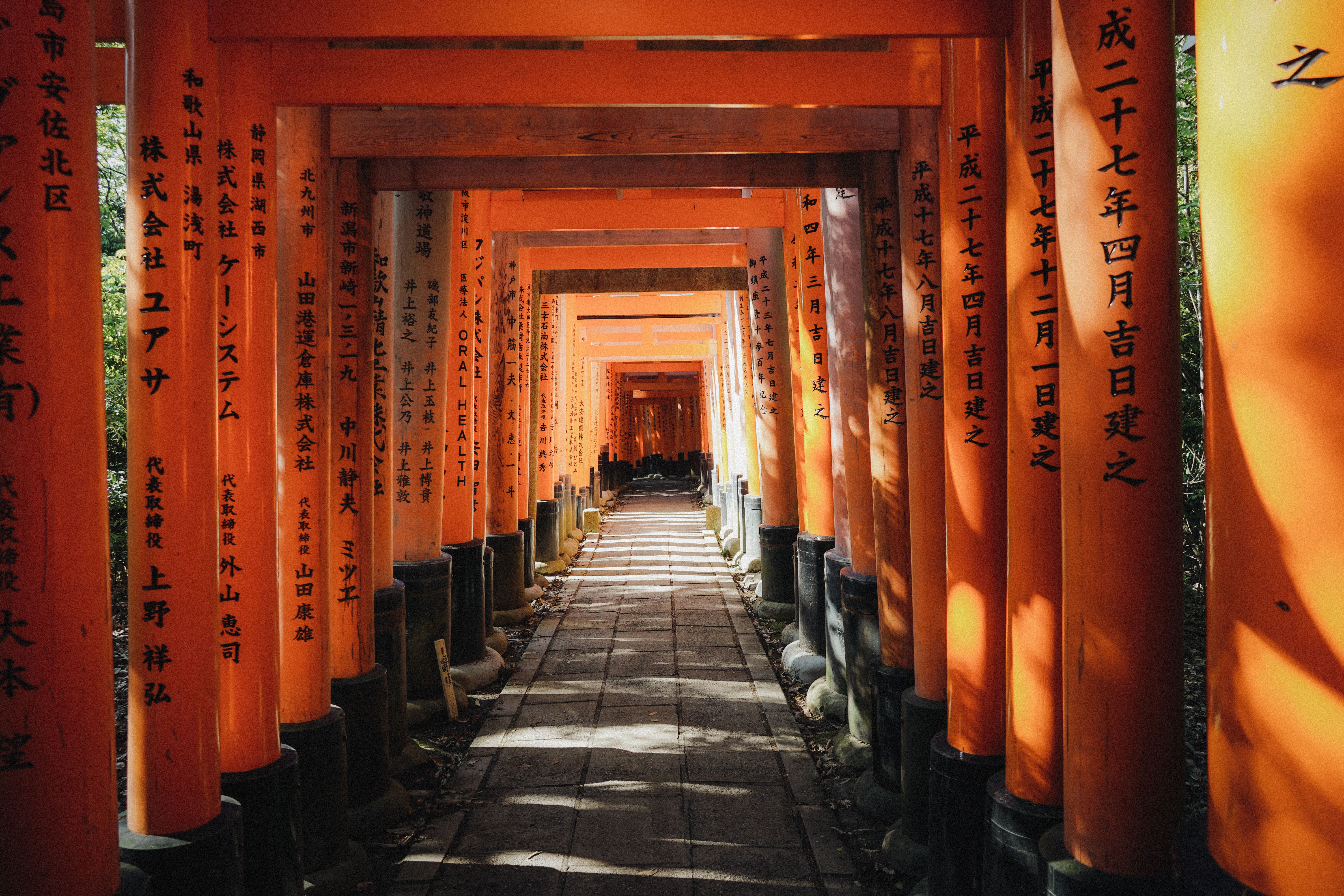 Japanese Cheif Photos, Download The BEST Free Japanese Cheif Stock ...