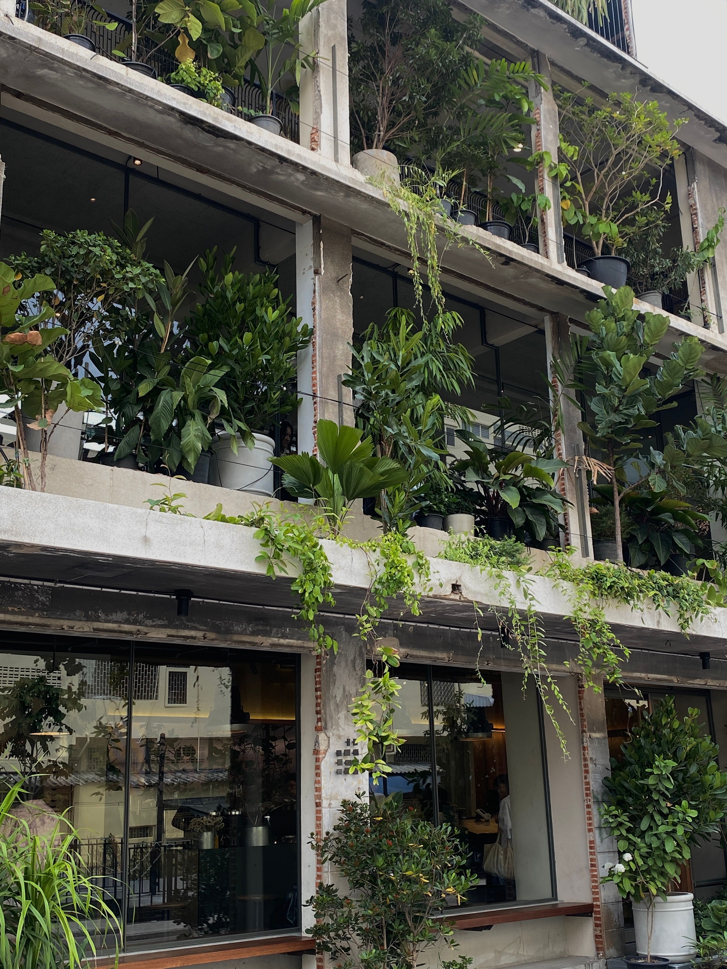 Urban Greenery on Modern Building Facade · Free Stock Photo