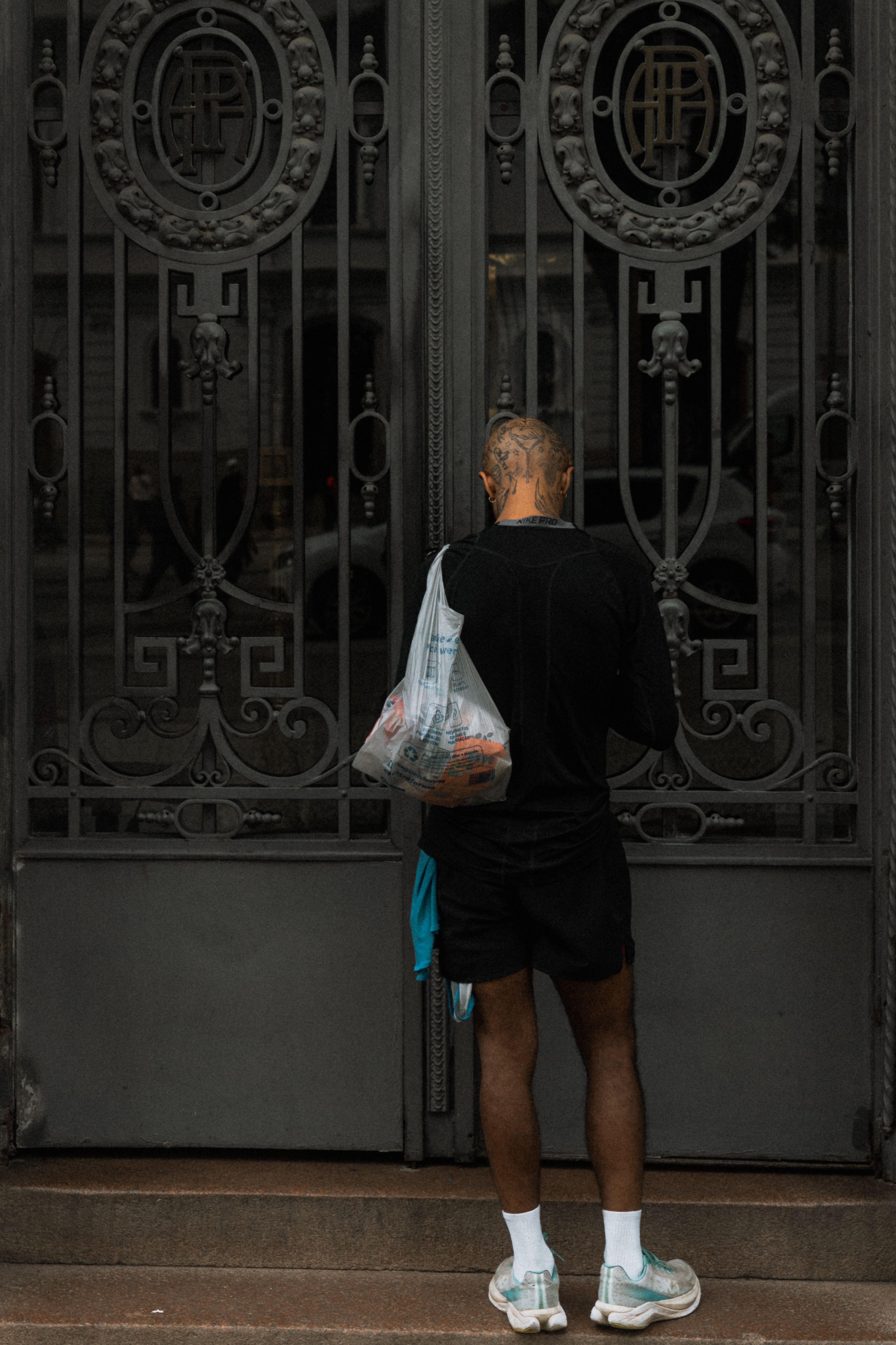 Person Standing at Ornate Iron Gate · Free Stock Photo