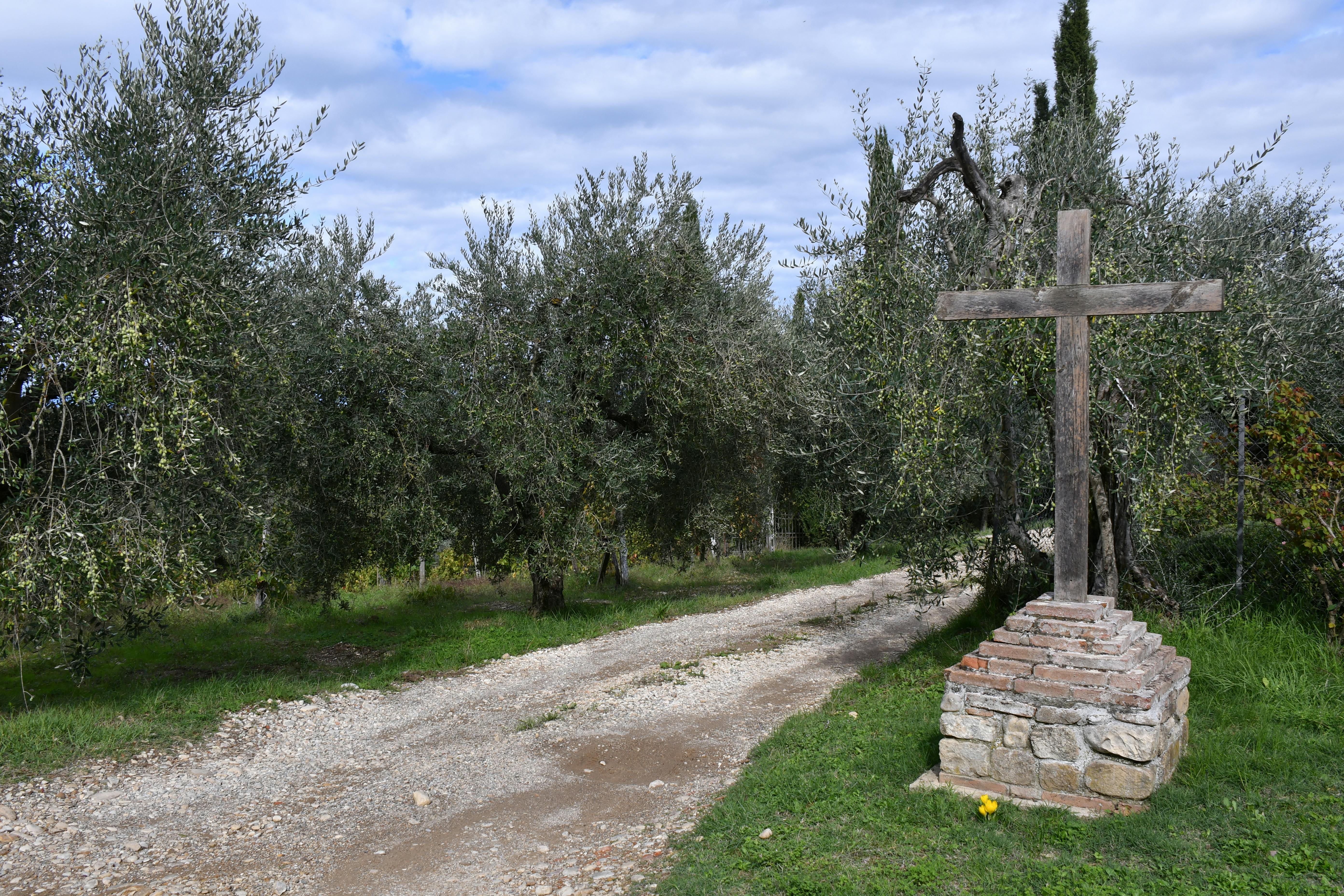 Rural Pathway with Stone Cross and Olive Trees · Free Stock Photo