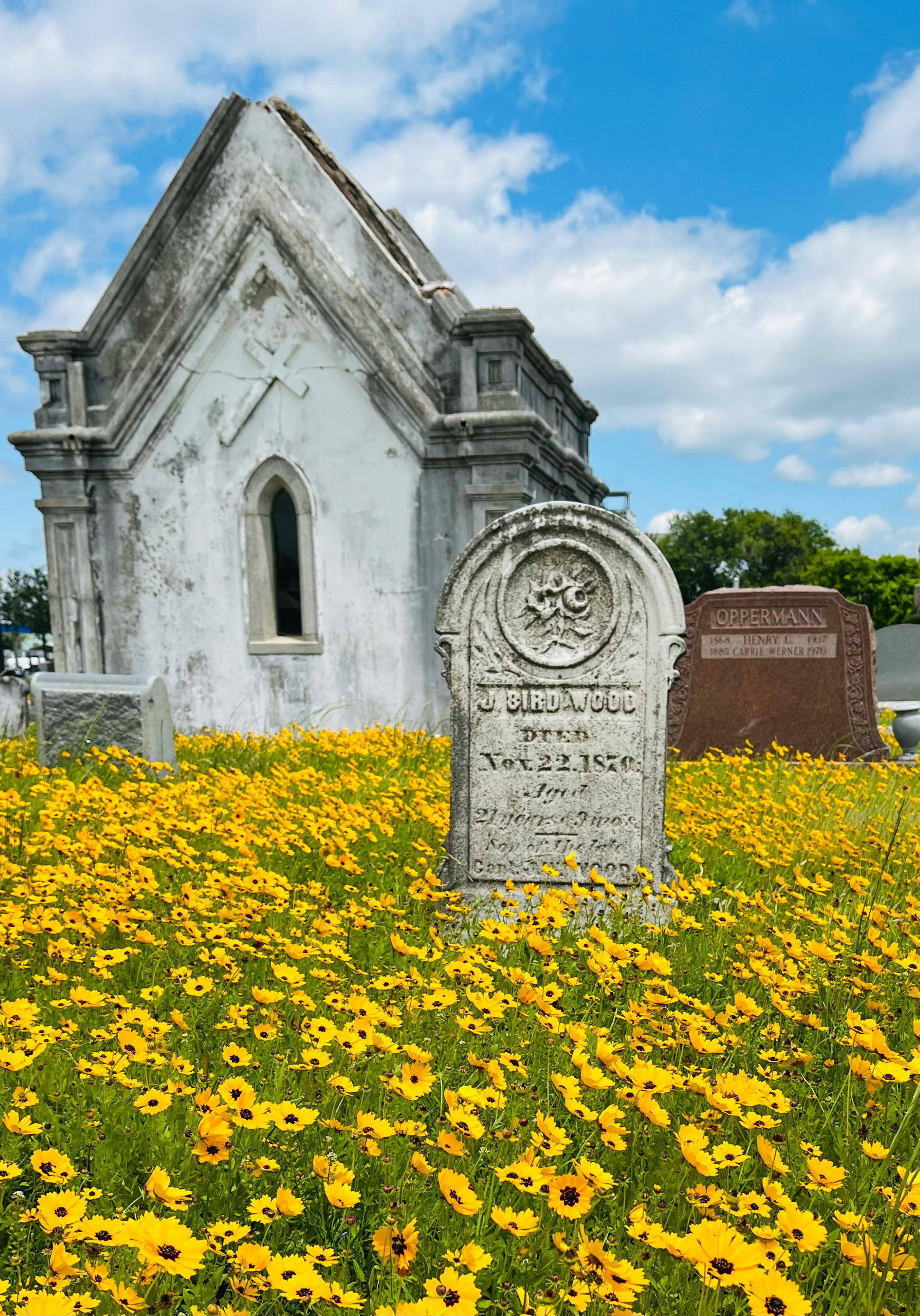 Devil In Graveyard Photos, Download The BEST Free Devil In Graveyard ...