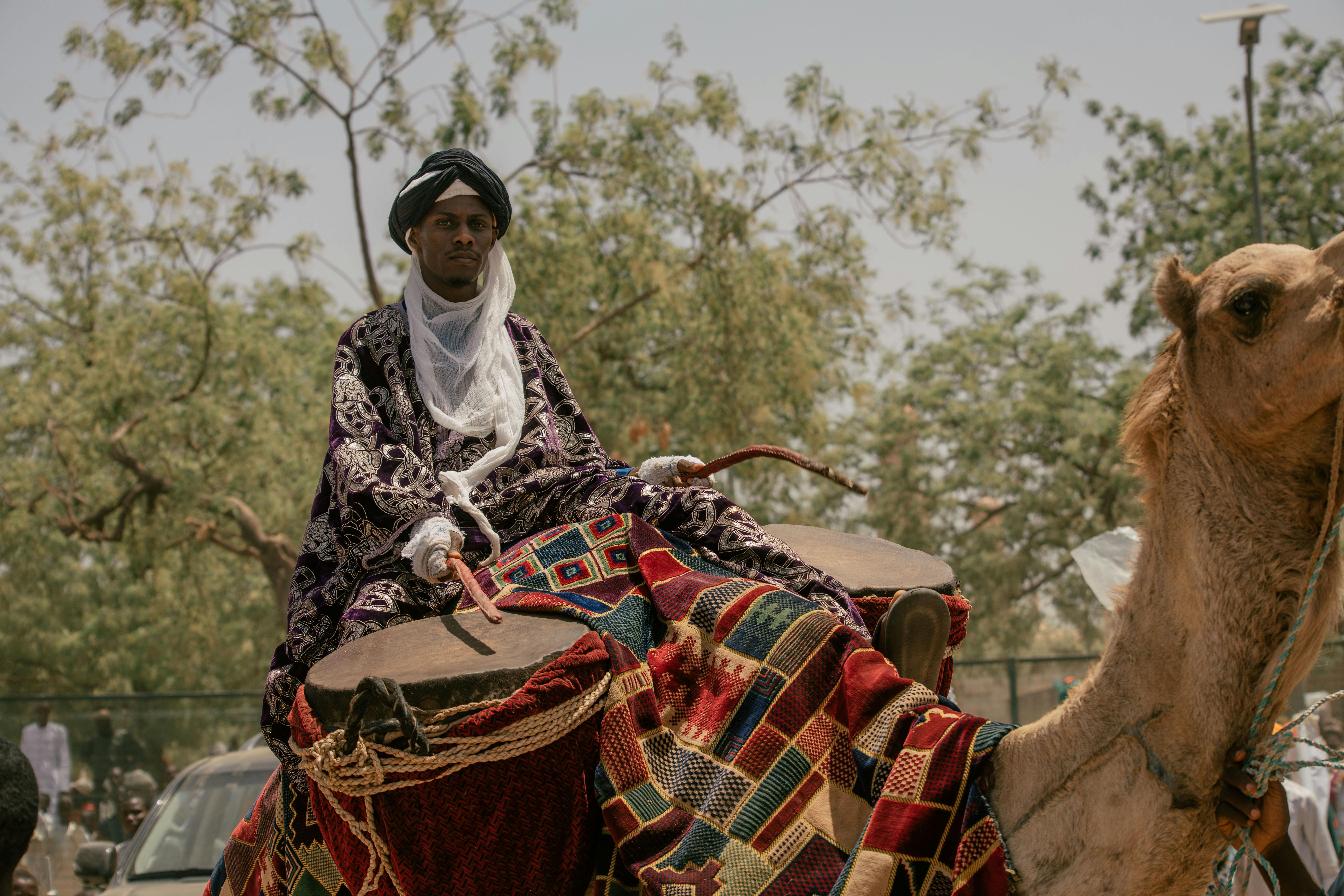 Traditional Camel Ride with Colorful Attire · Free Stock Photo