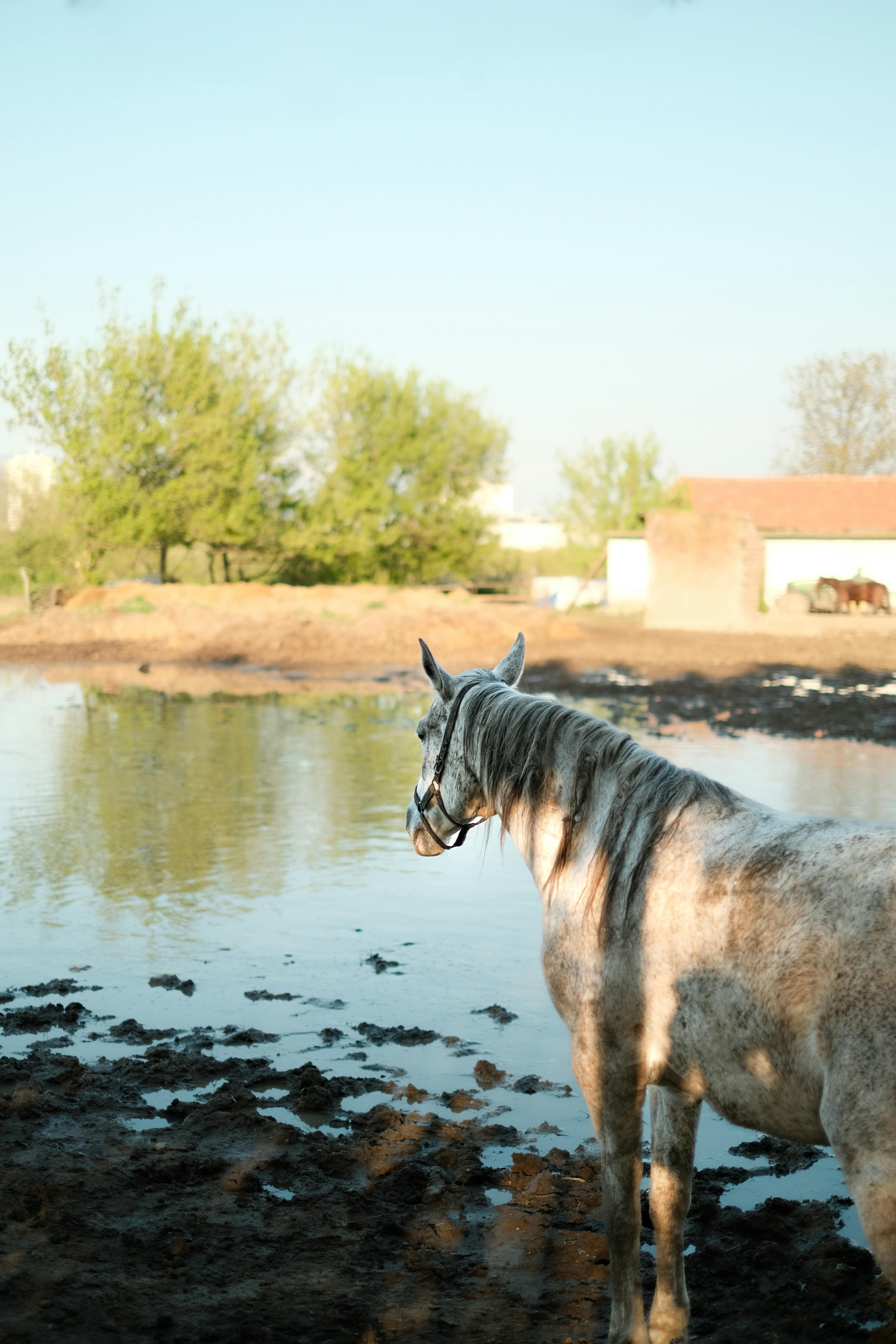 Water Stable Background Photos, Download The BEST Free Water Stable ...