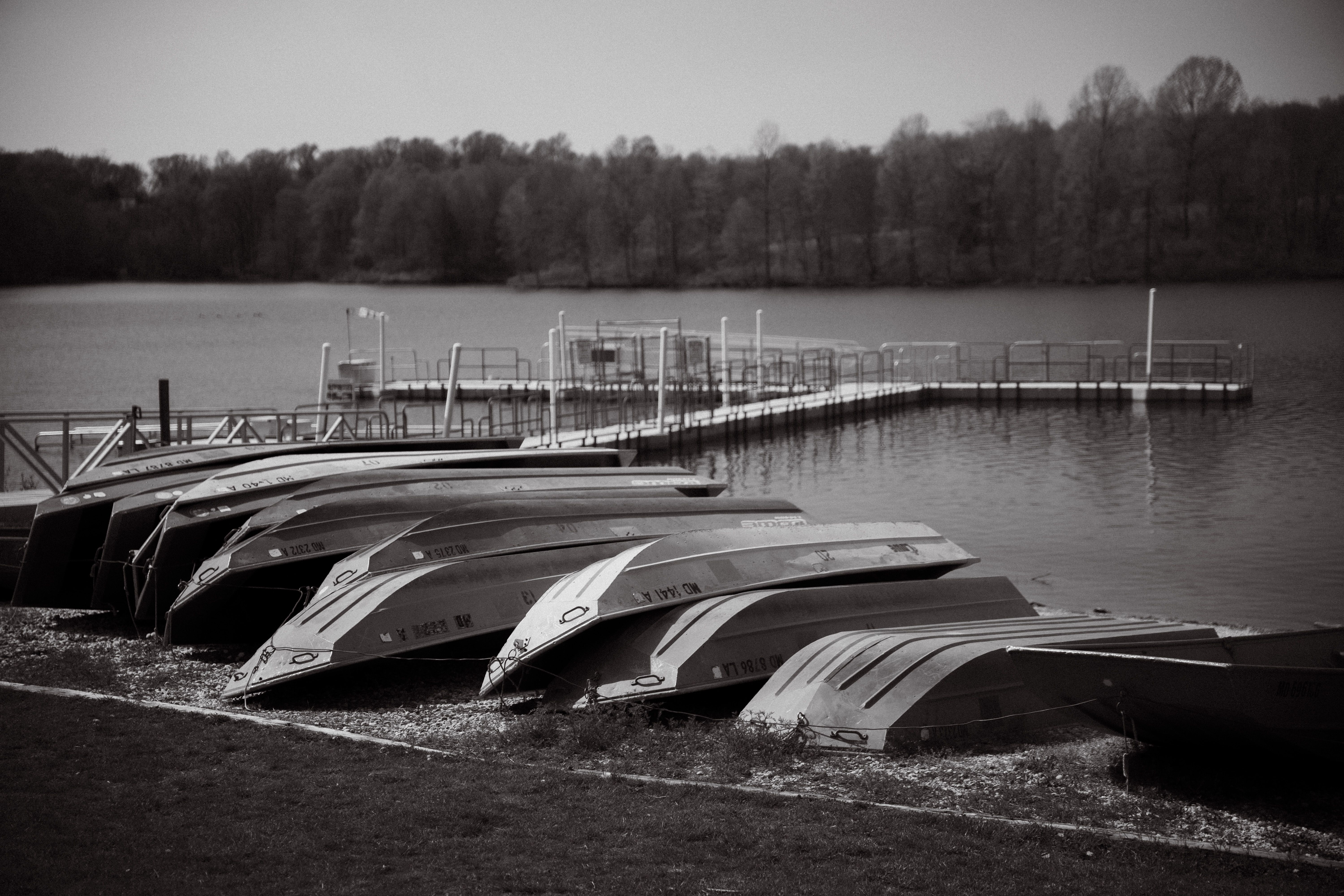 Serene Lakefront with Lined Docked Boats in Maryland · Free Stock Photo