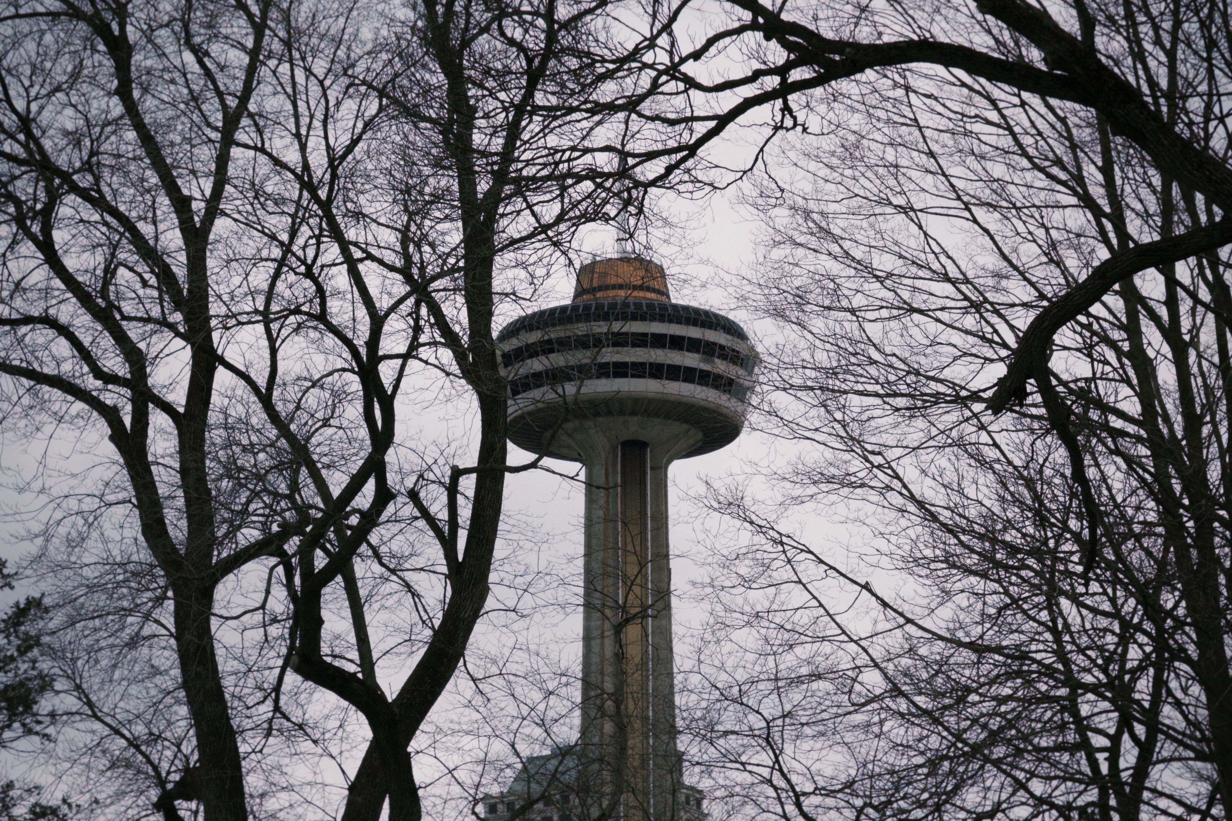 Tower In Winter Photos, Download The BEST Free Tower In Winter Stock ...