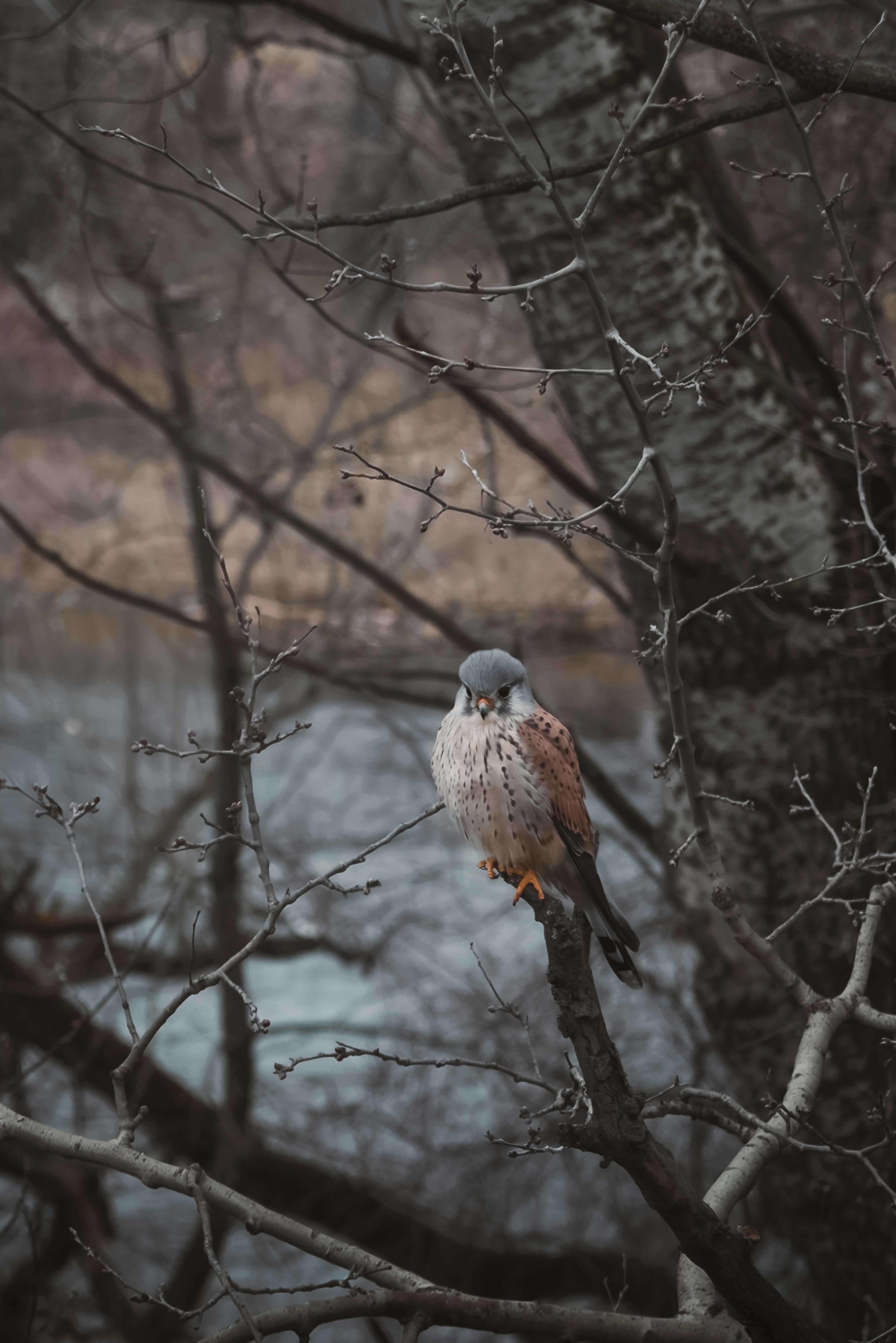 Environment Pictures Photos, Download The BEST Free Environment ...