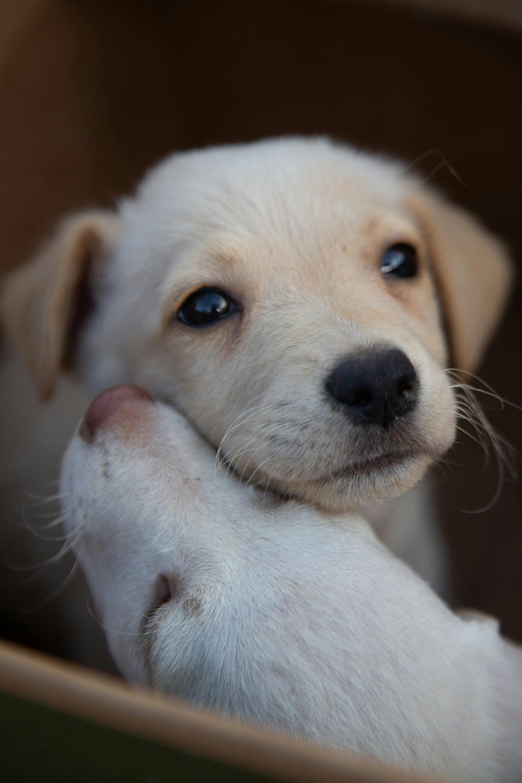 Sp By Photos, Download The BEST Free Sp By Stock Photos & HD Images