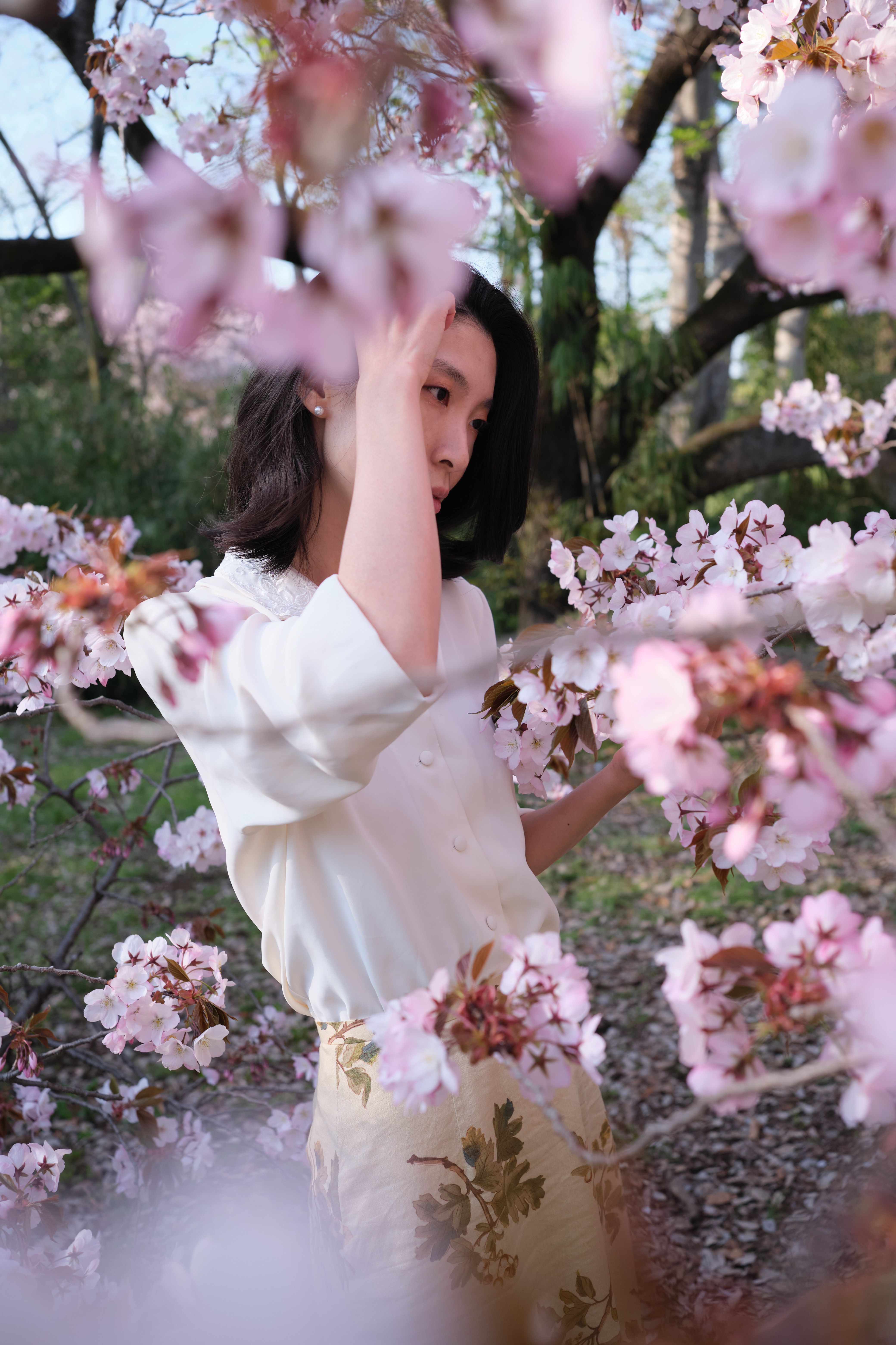 Serene Portrait Among Cherry Blossoms in Tokyo · Free Stock Photo