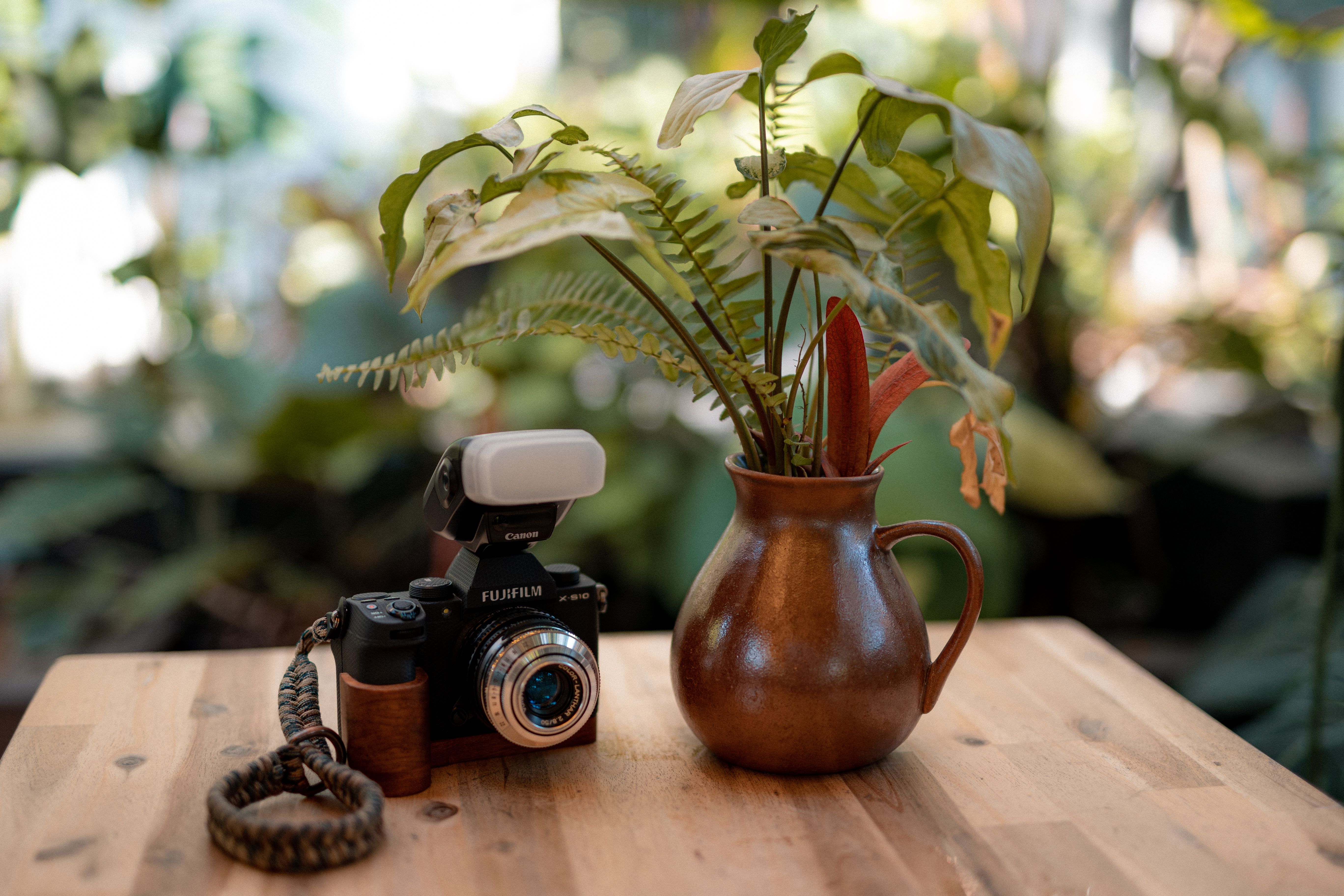 Rustic Plant Arrangement with Vintage Camera on Table · Free Stock Photo